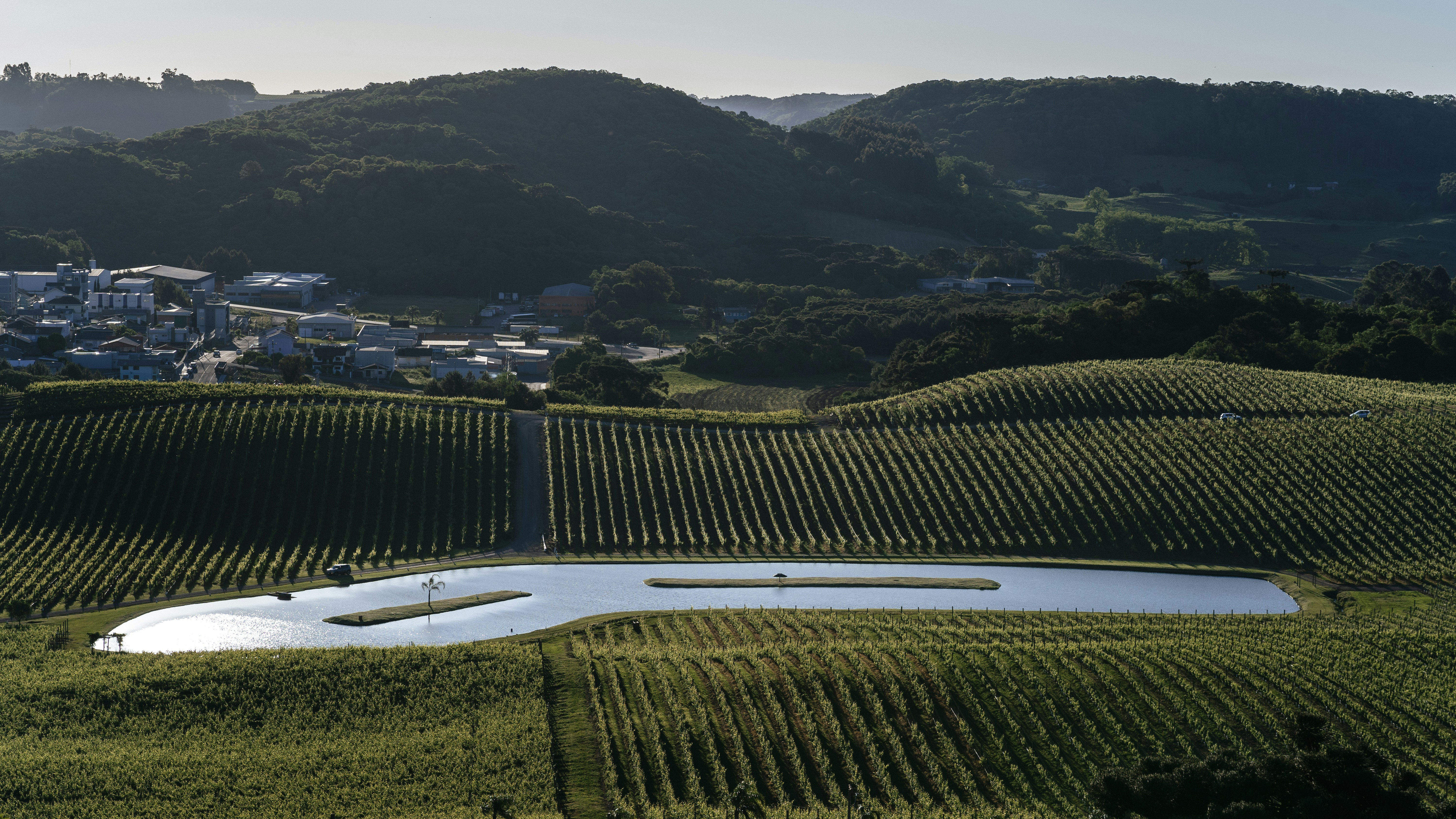 Meandering Water Ribbon Through Vineyard Terraces