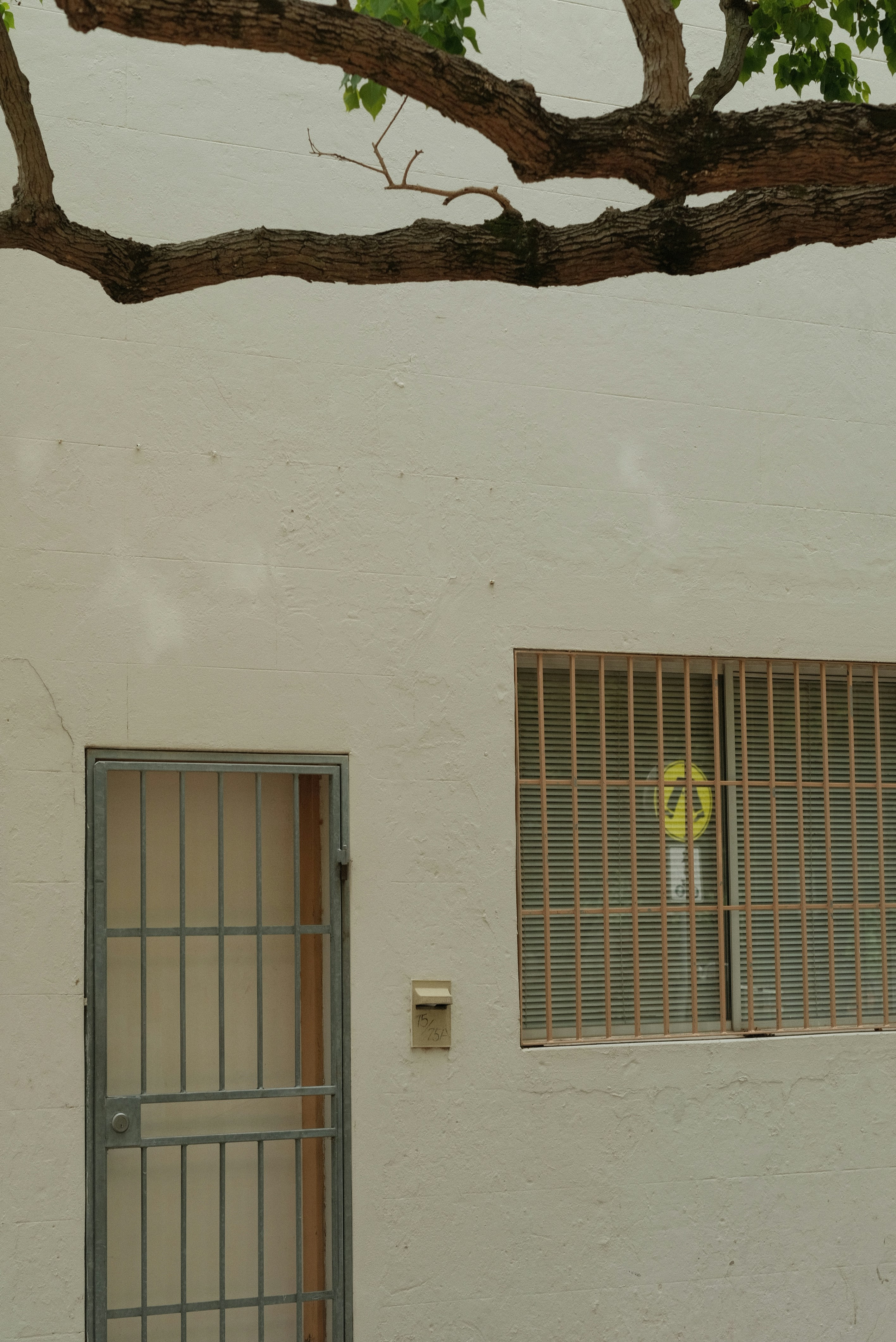 Gilded Circle Behind Grilles: A Quiet Wall Portrait with Overhanging Branches