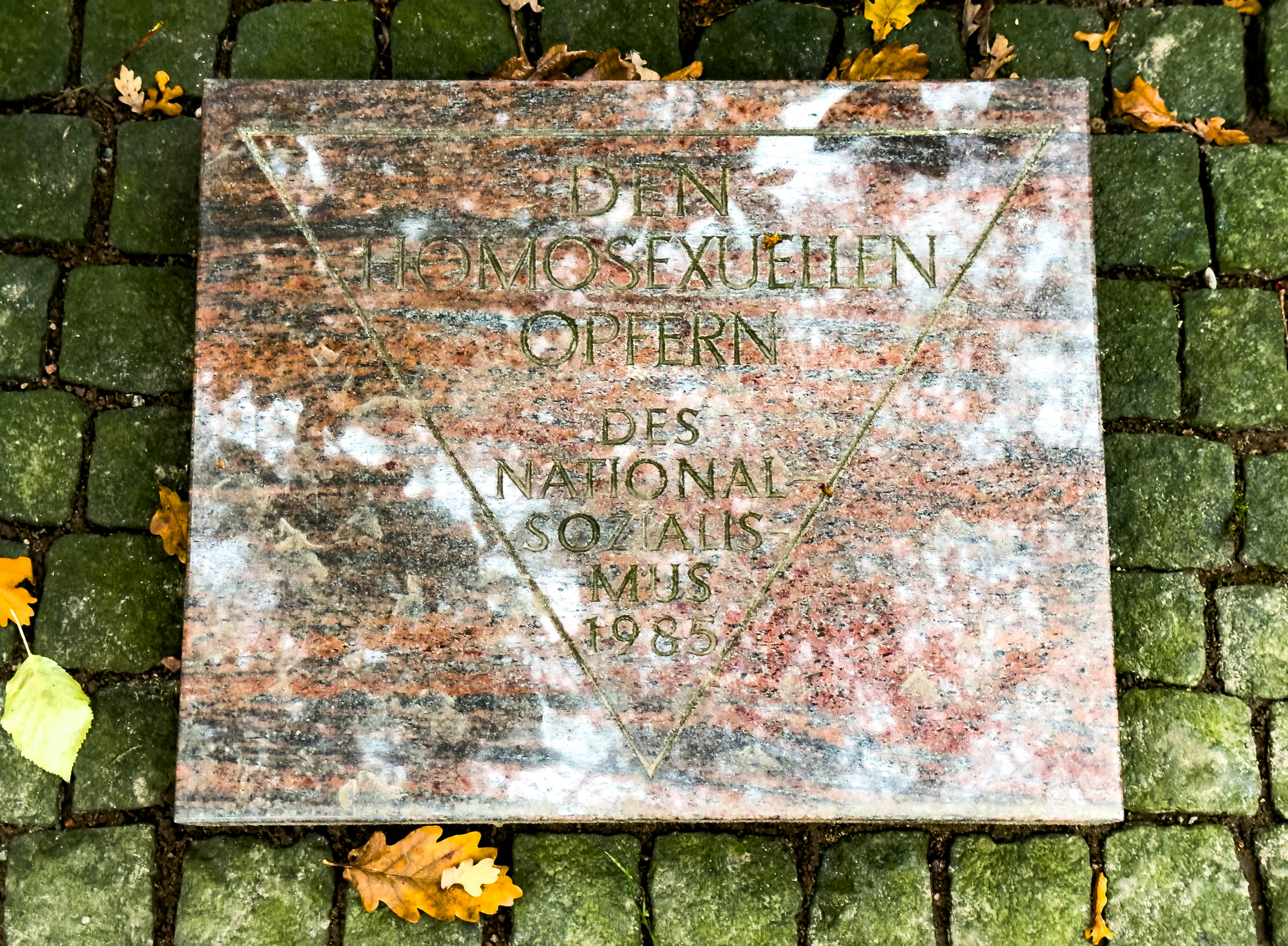 Autumn's Embrace on Historic Stone