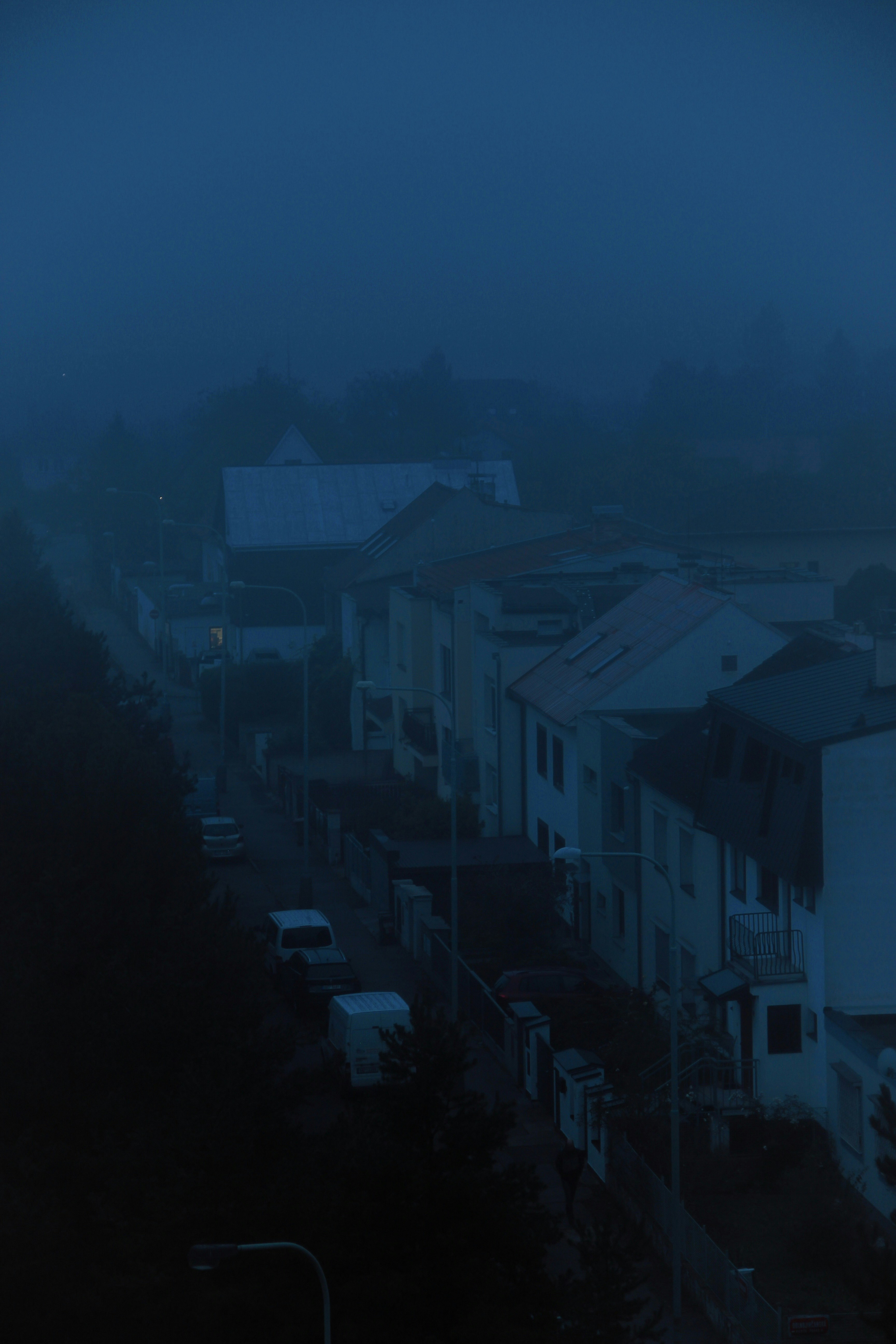 Night Veil Over a Quiet Street