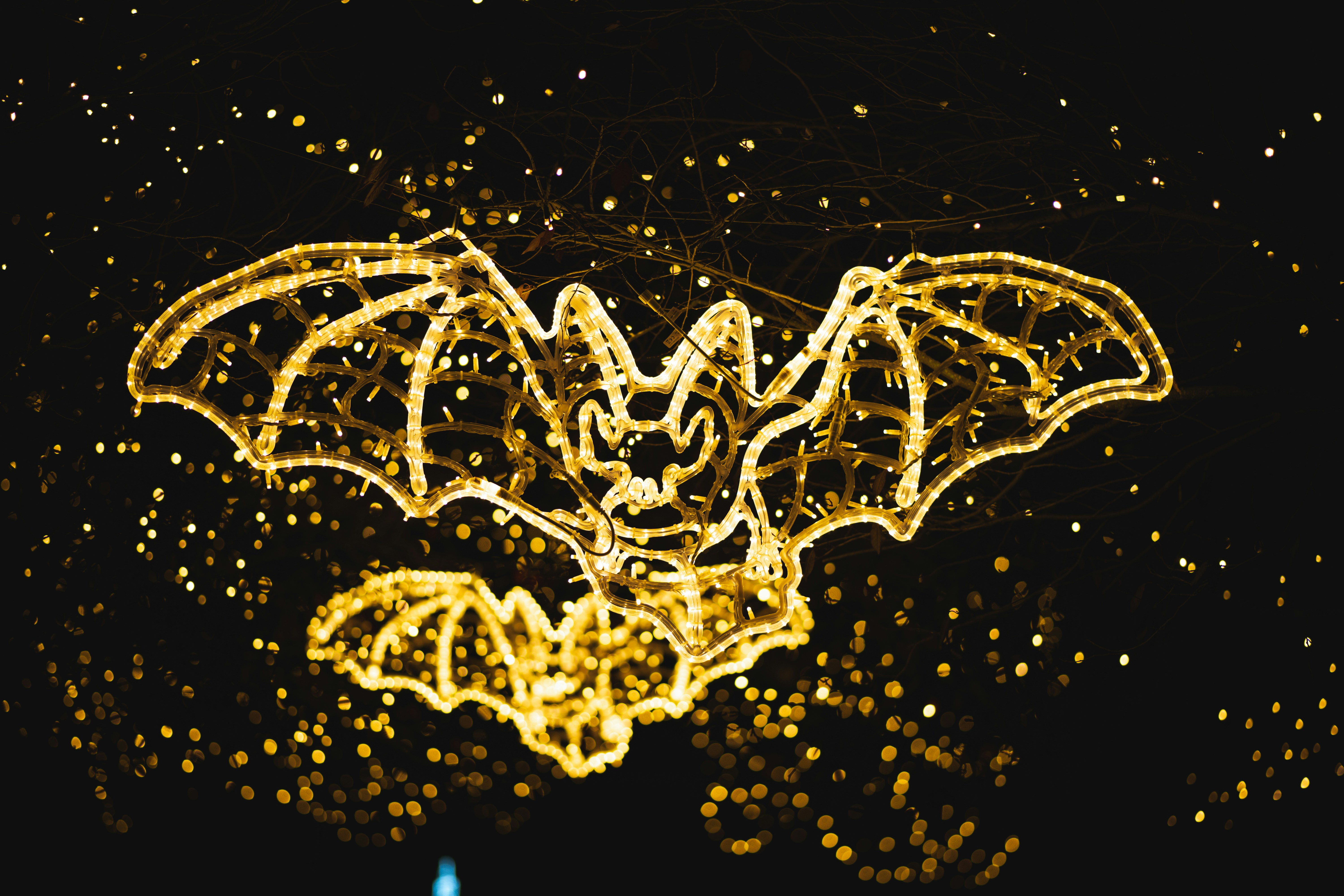 Golden Bat in a Night of Sparks