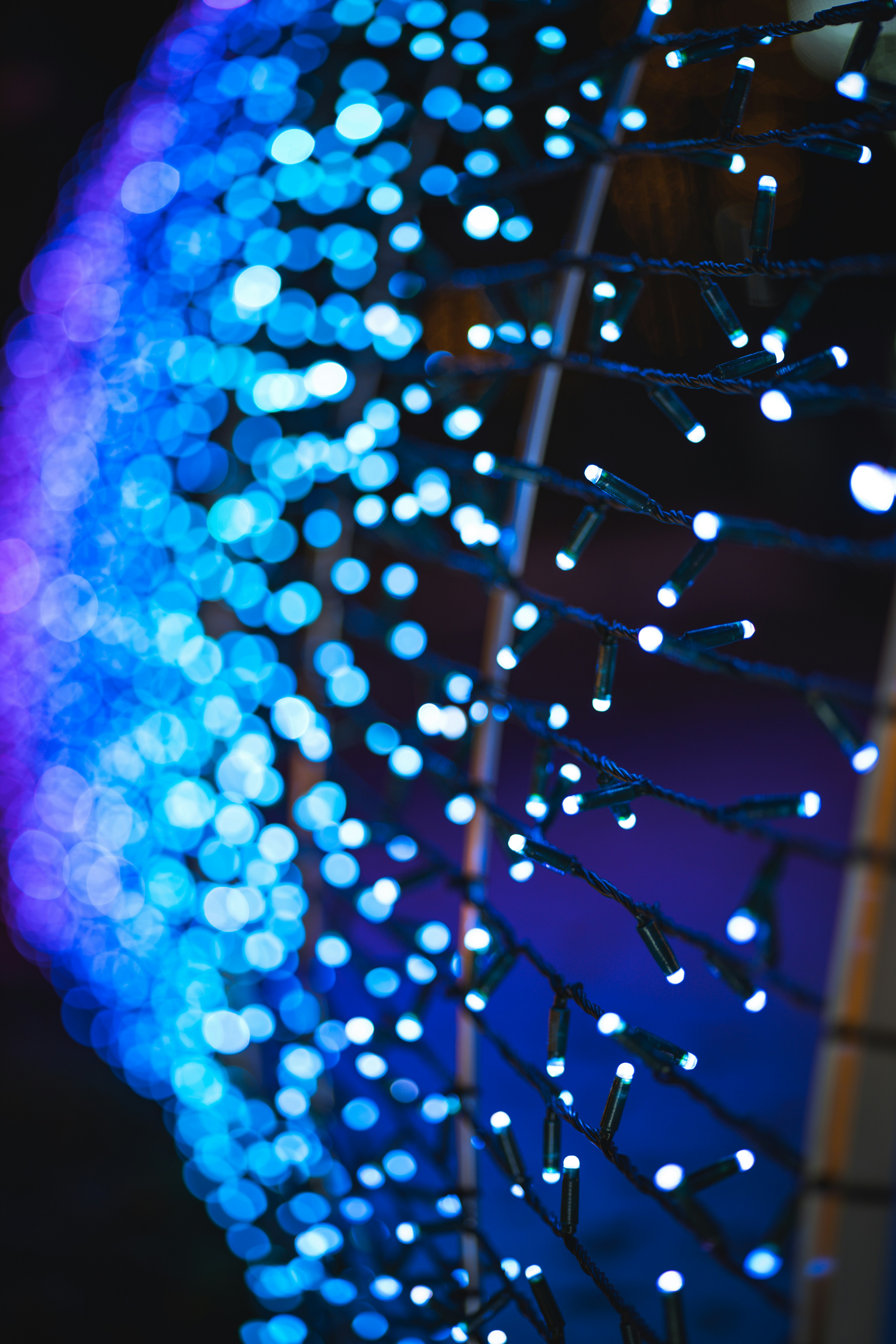 Neon Mesh: Electric Blue Orbs Tight on a Wreathed String of Lights