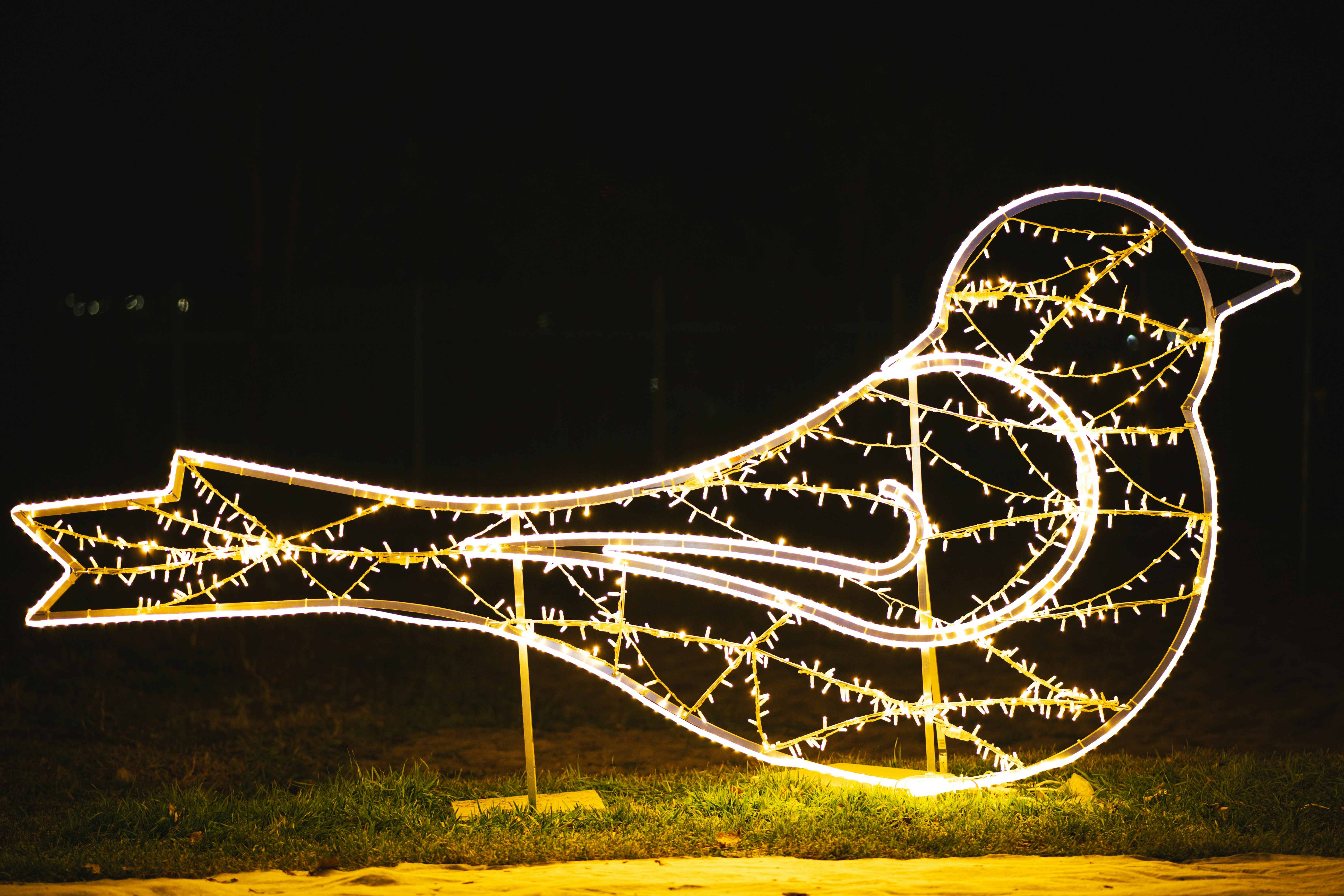 Neon Songbird: A Warm Light Sculpture Etched in Night