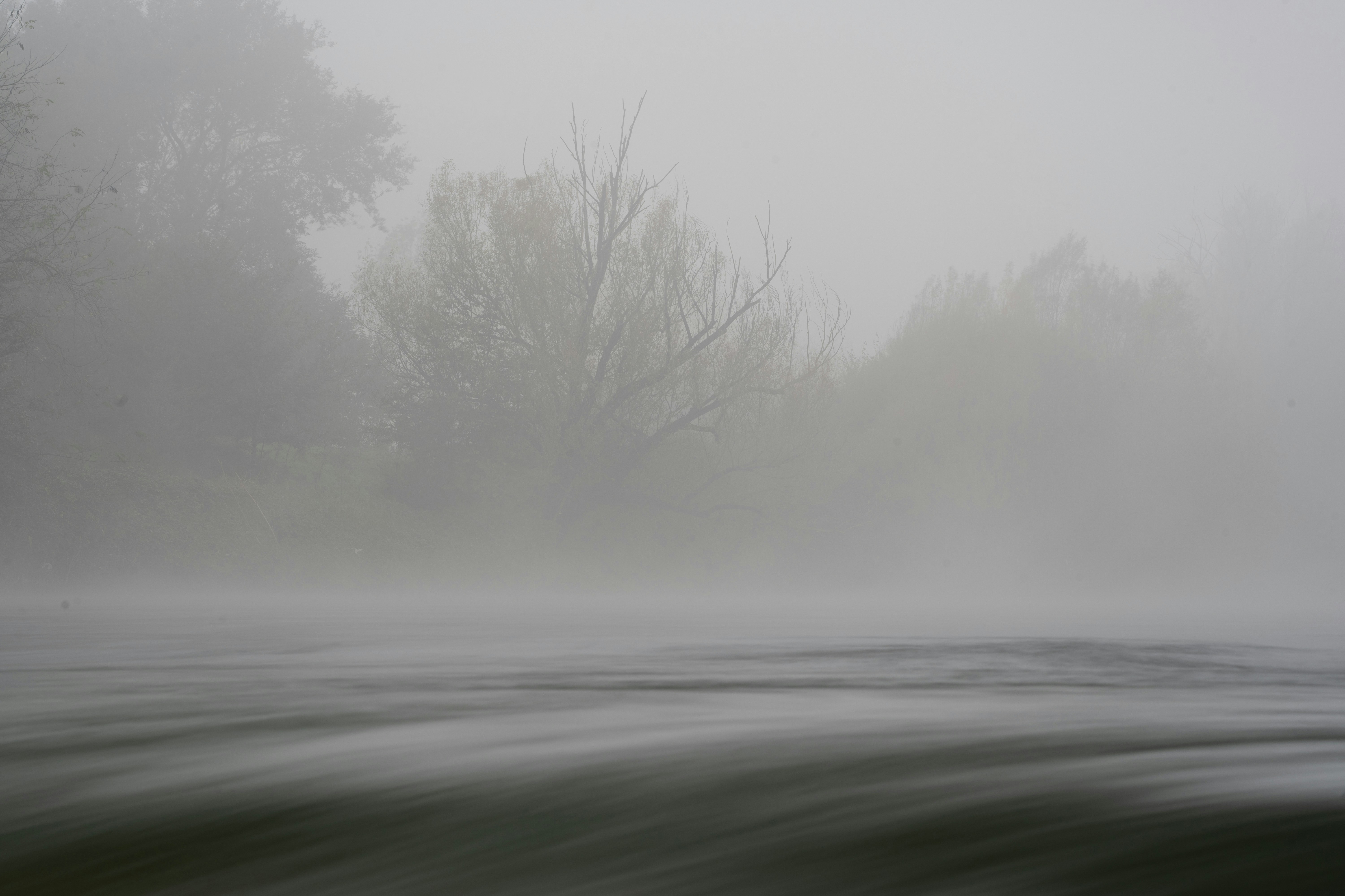 Photo by Davide Buttani with Sony Alpha 7 III