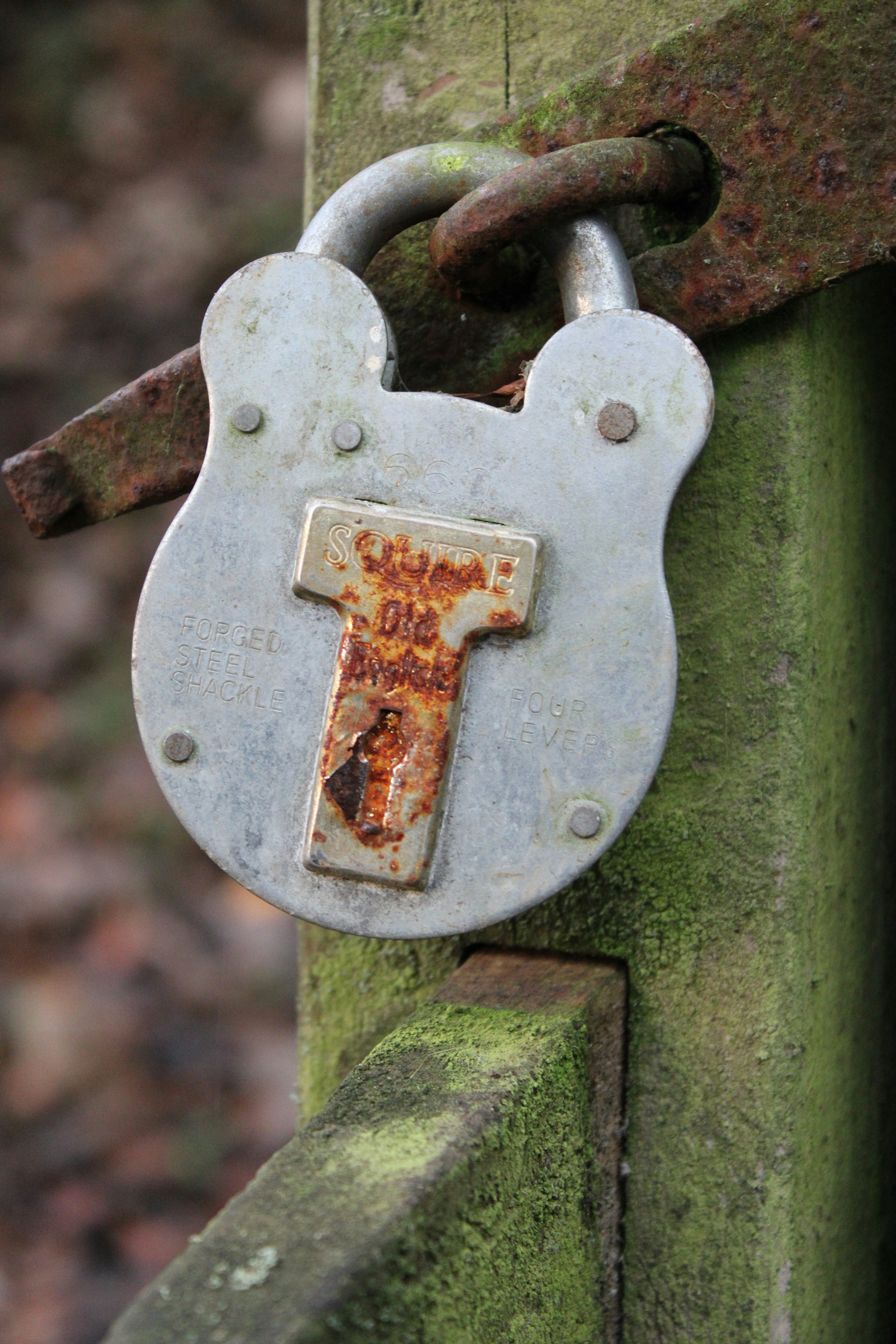 Rust, Moss, and a Padlock: Close-Up on a Weathered Gatepost