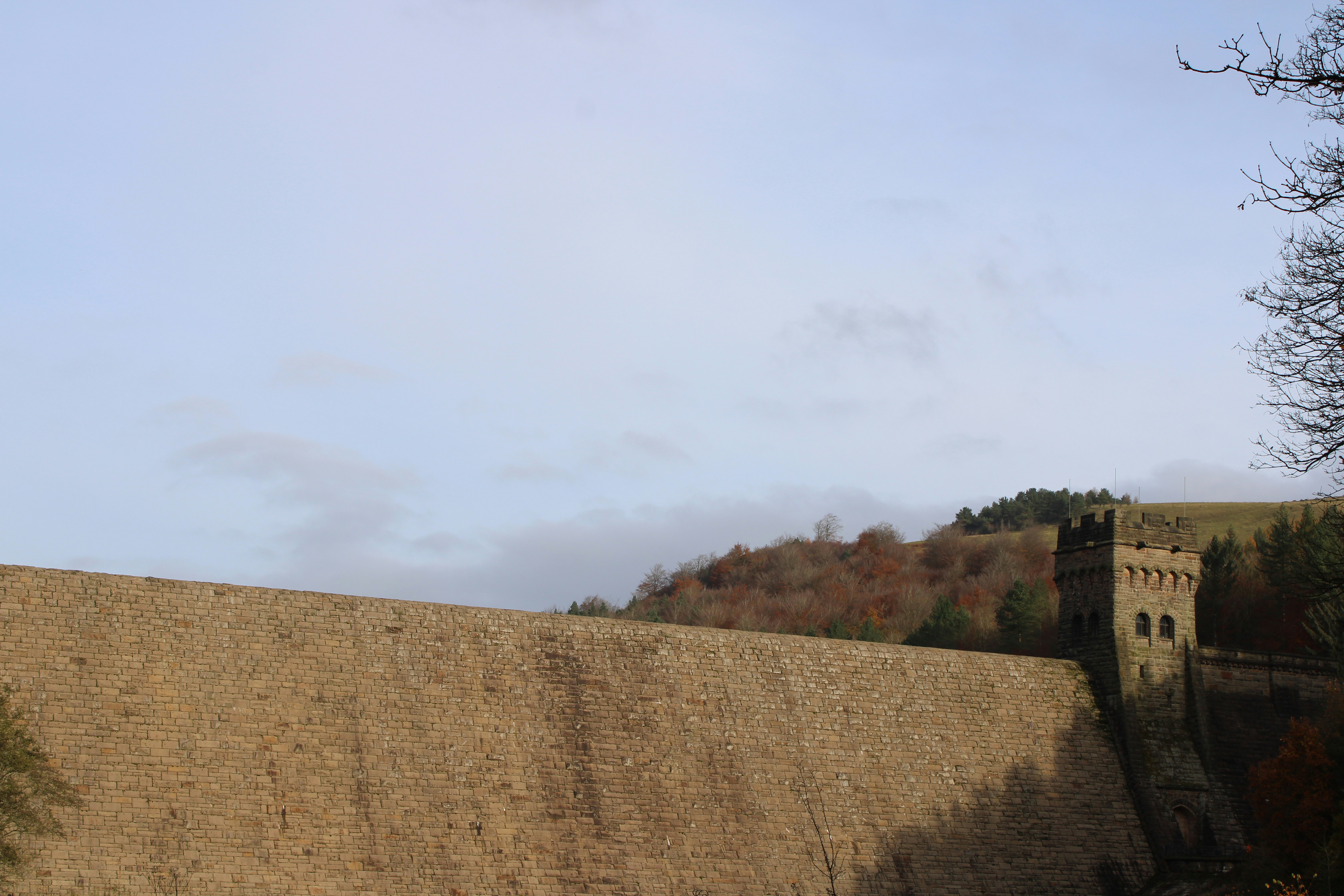 Photo by Ben Marler with Canon EOS 2000D