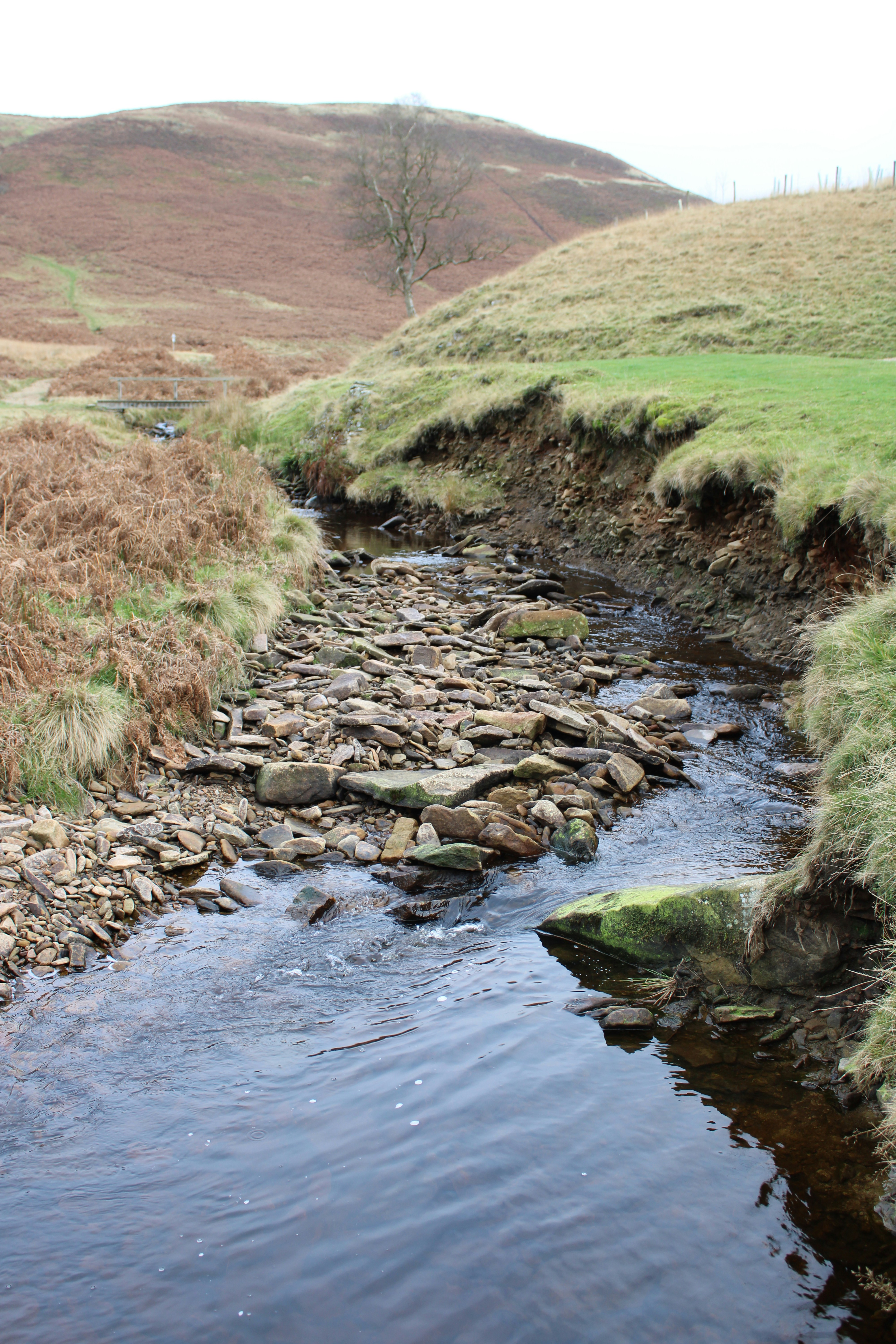 A stream running through a lush green hillside photo – Free Natural ...