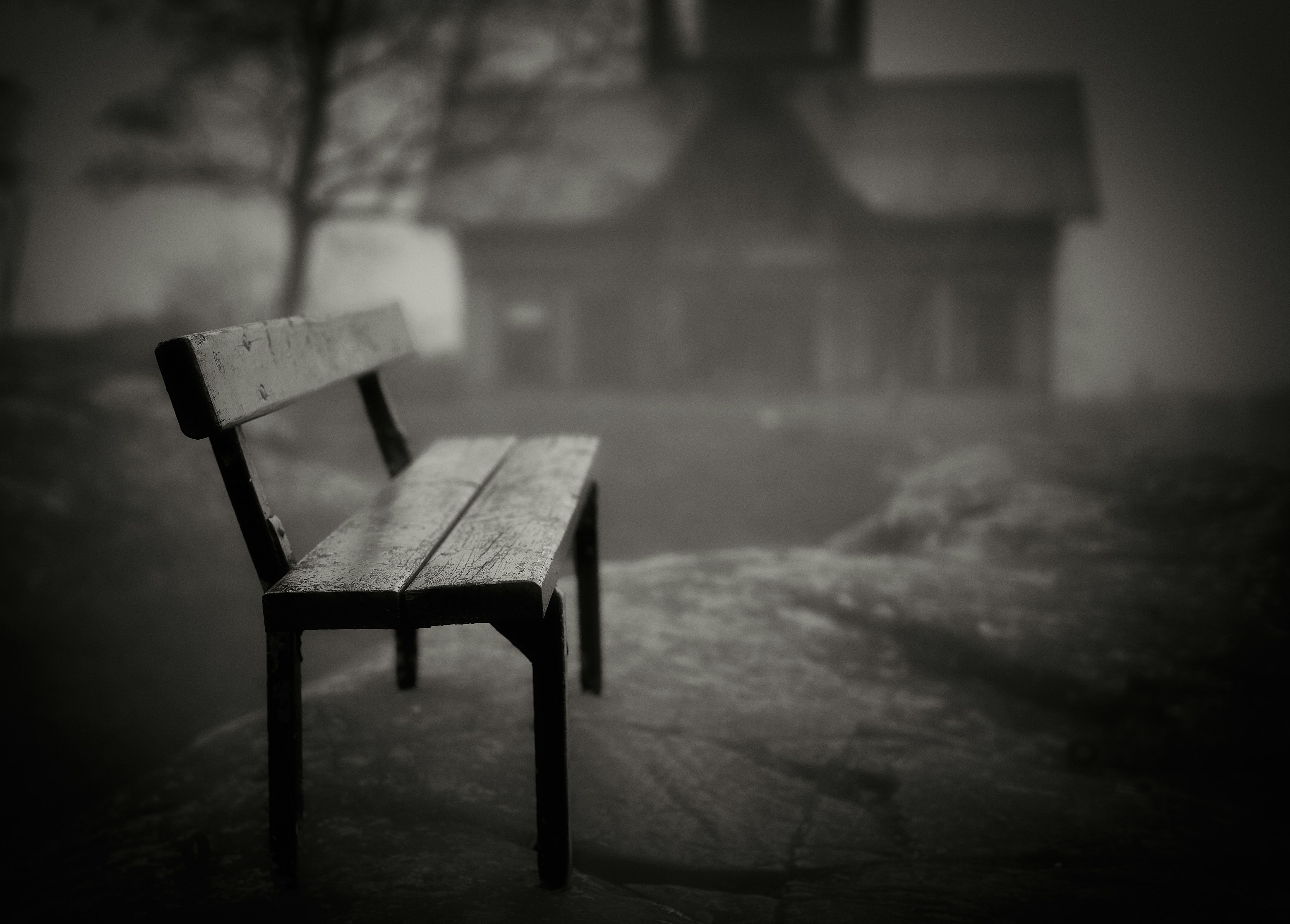 Photo by Vidar Nordli-Mathisen with Sony Alpha 7 IV