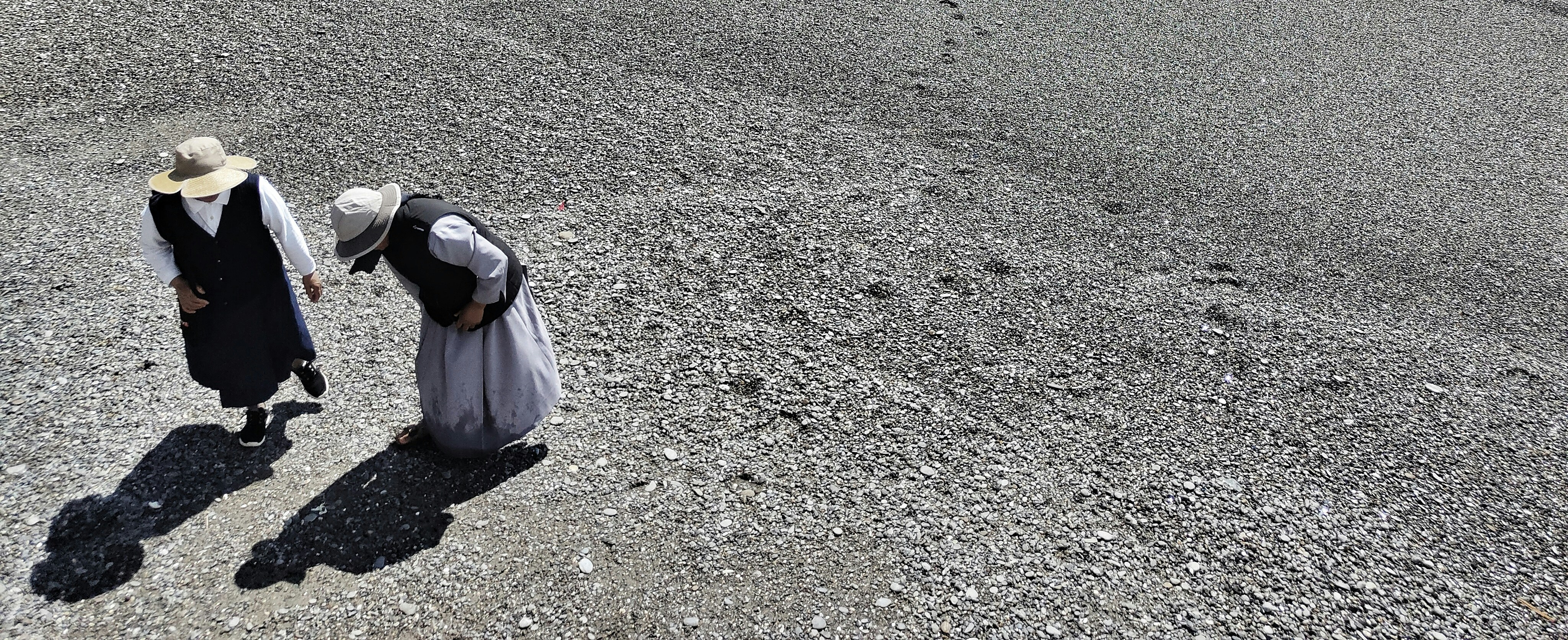 Two Hats, One Path: Distant Dames on a Pebble Field