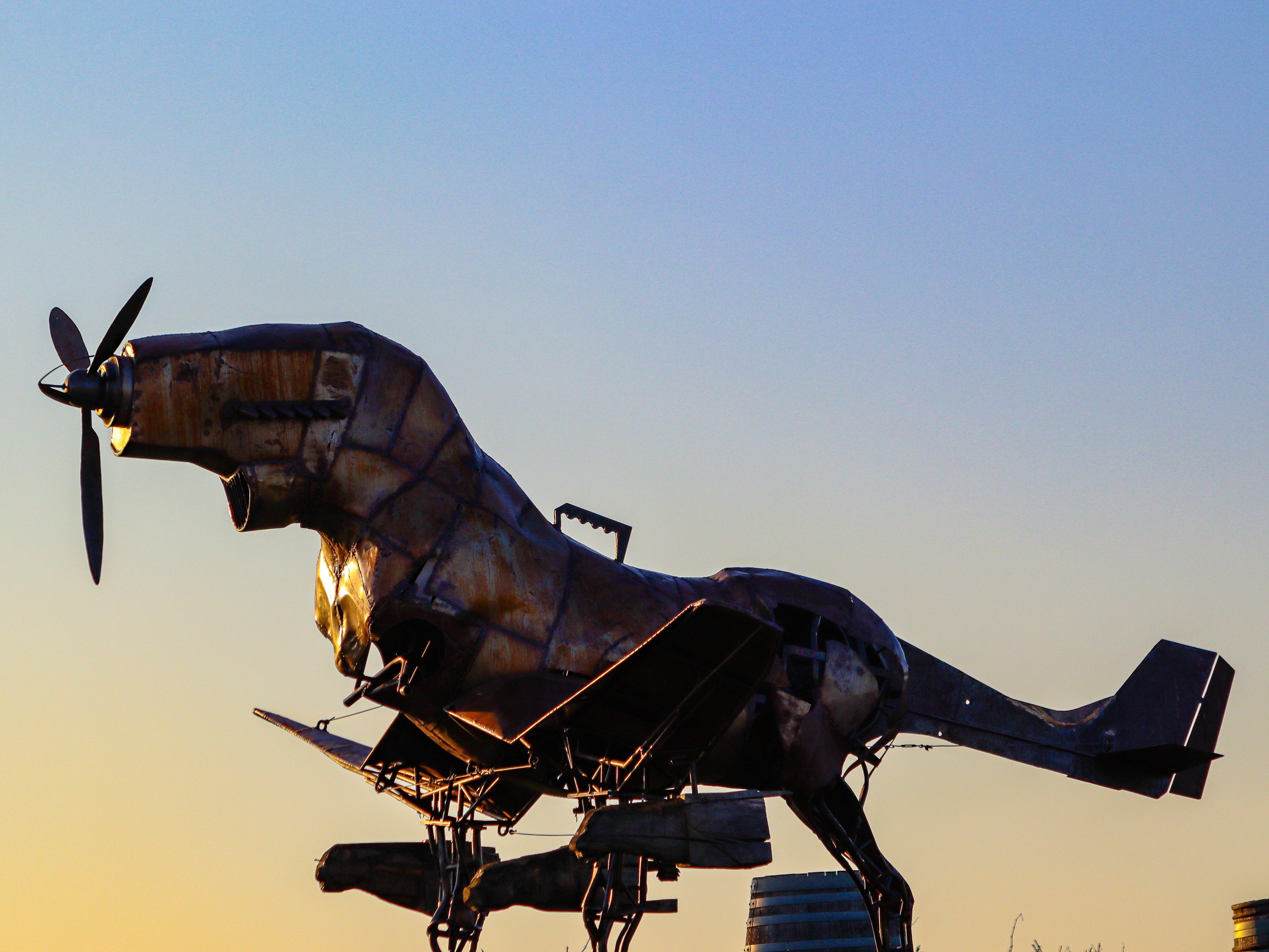 Sunlit Behemoth: The Winged Warbird at Dusk