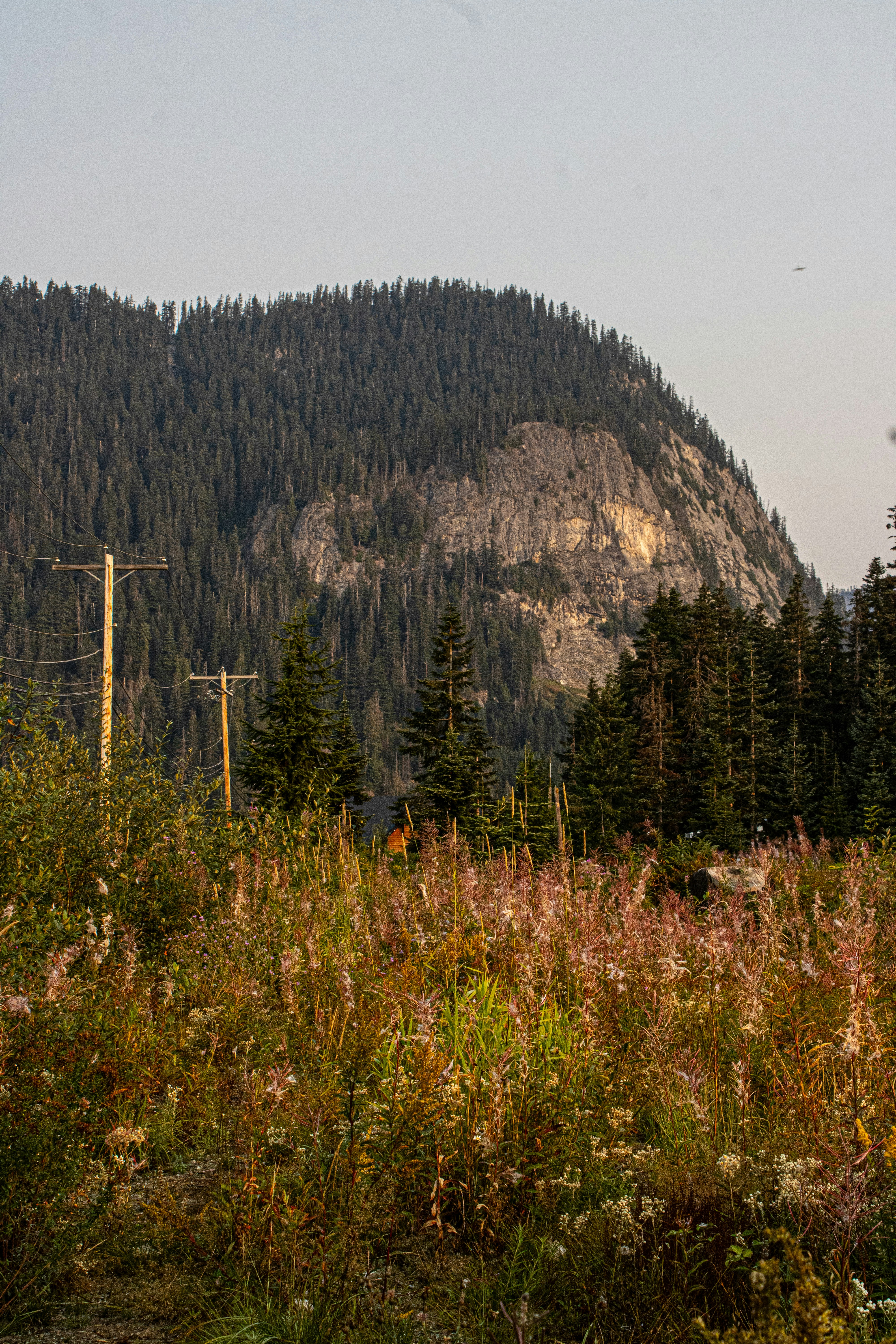 Granite Ridge Emerges Over a Wildflower Meadow at Golden Hour