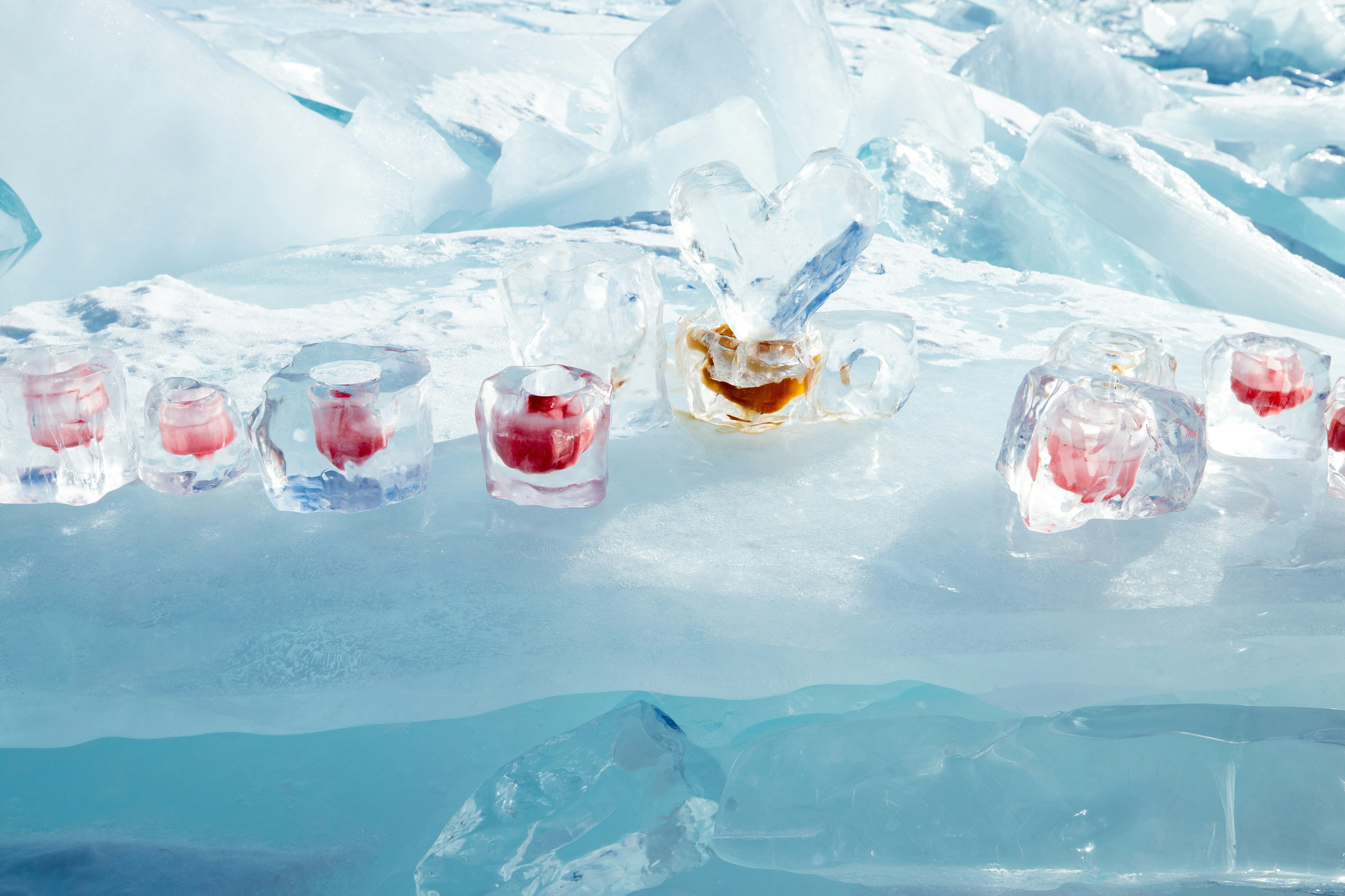 Photo by Anastasia Zolotukhina with Canon EOS 6D Mark II