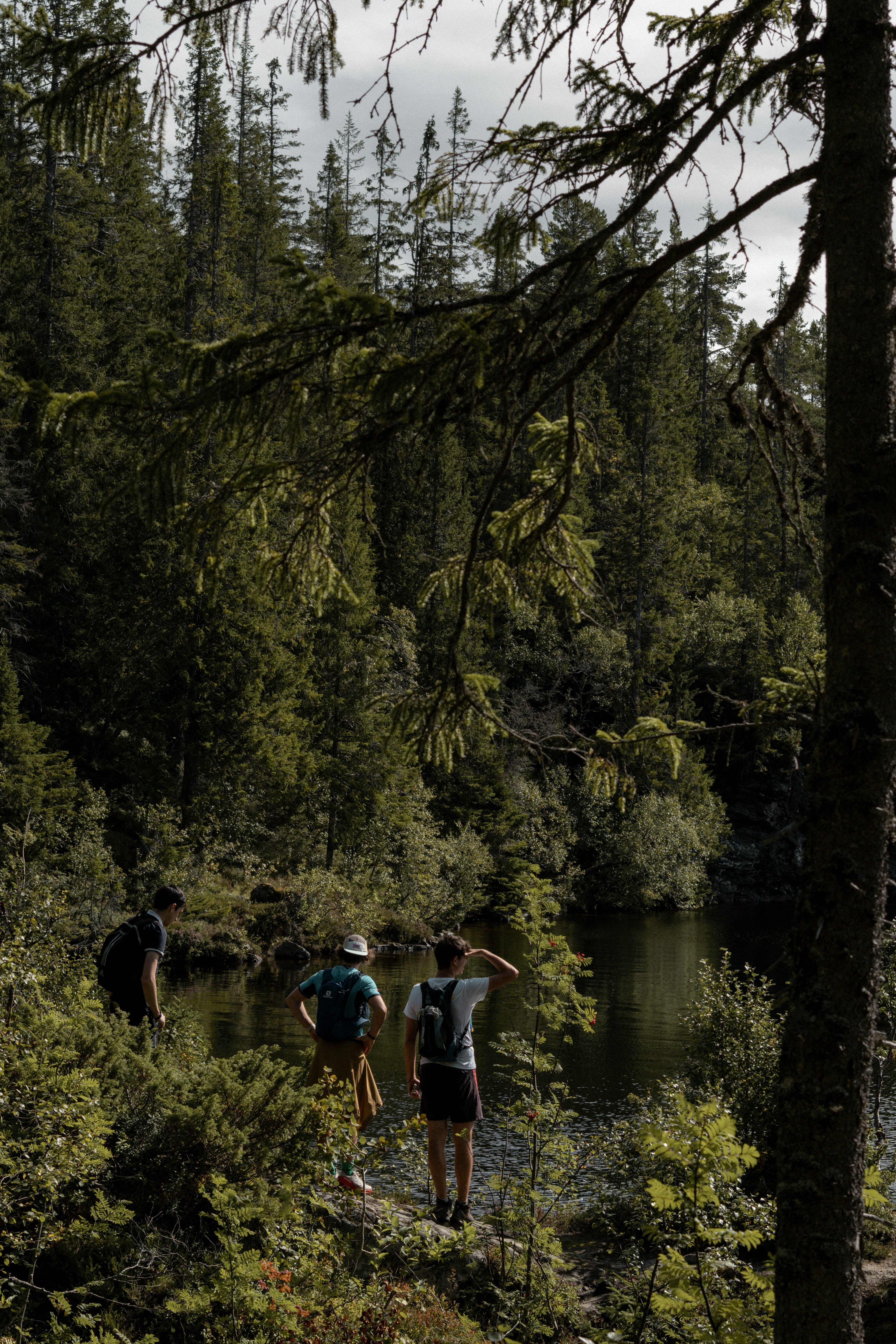 Hikers by the Quiet River: A Timber Frame of Adventure