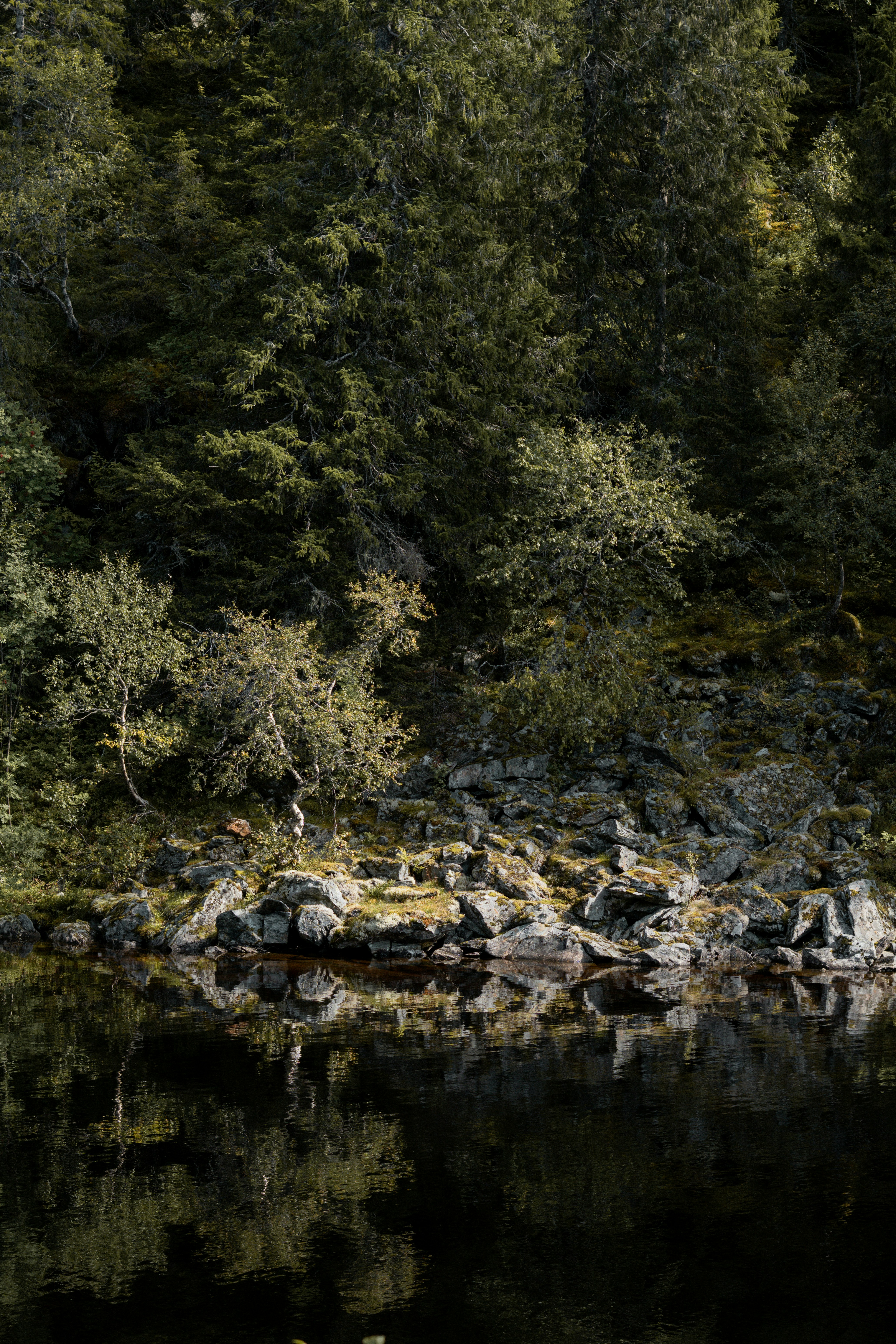 A body of water surrounded by trees and rocks