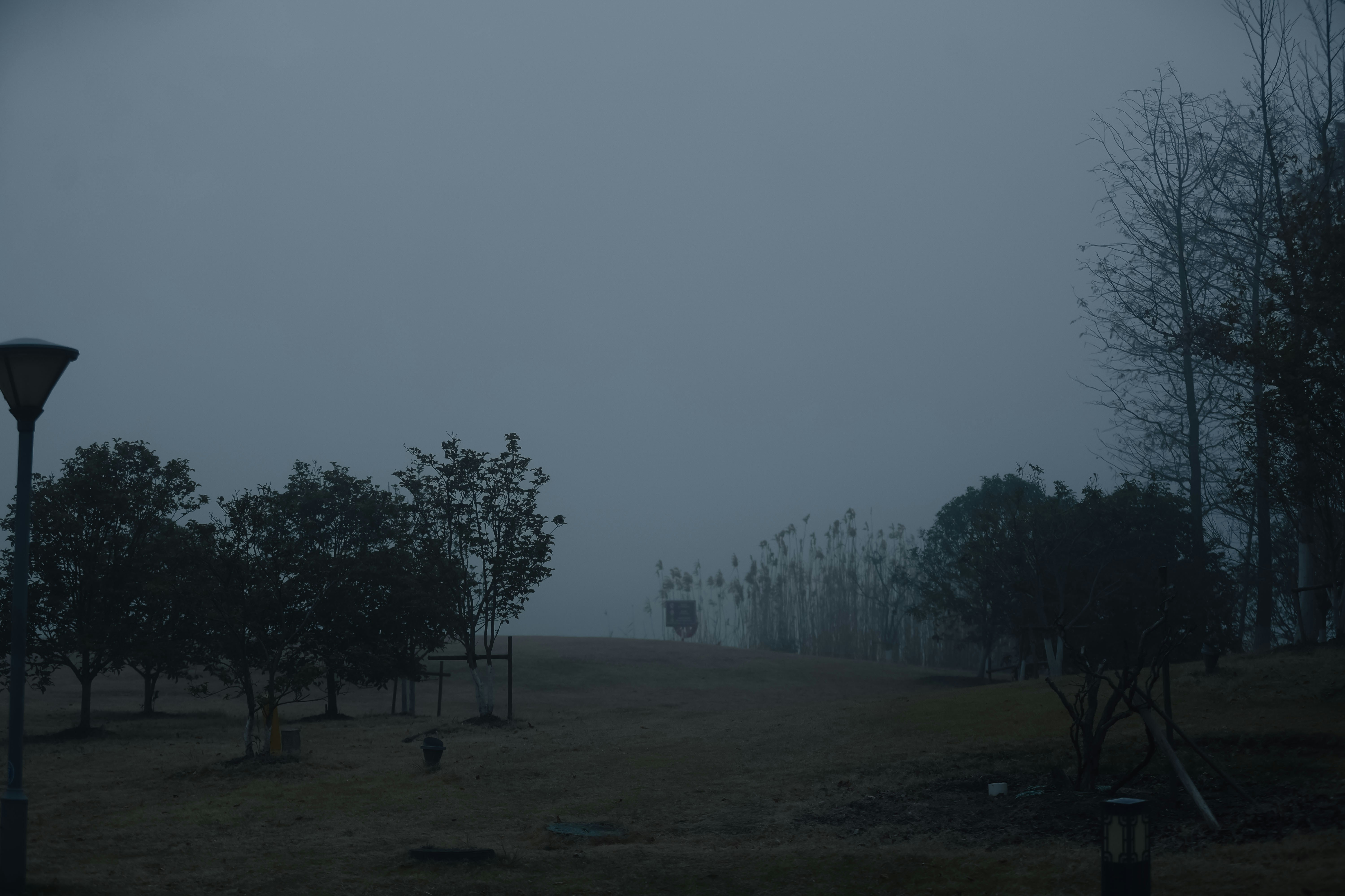 Distant Signboard Suspended in Velvet Fog Over a Quiet Park