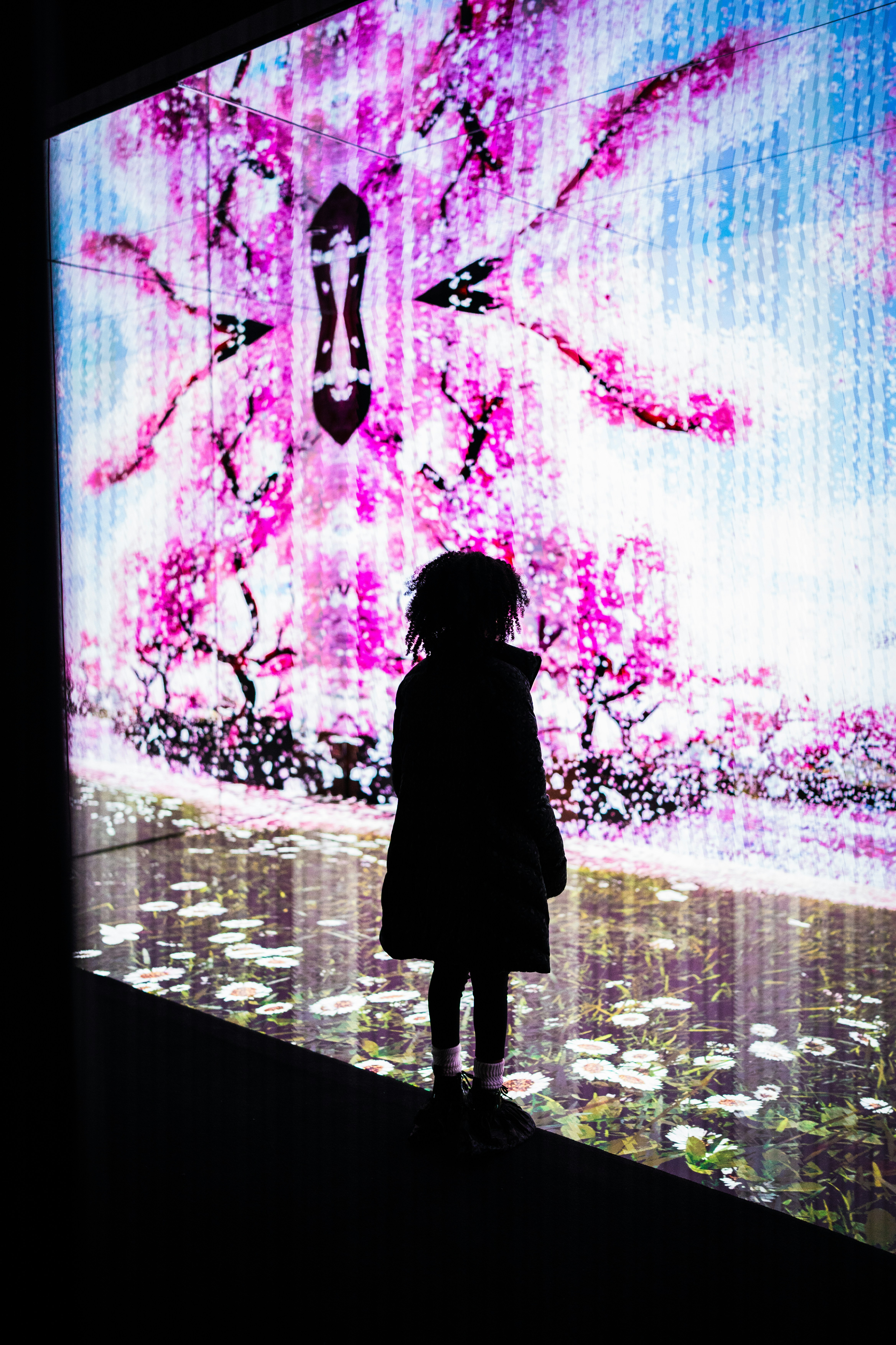 Silhouette Before a Neon Floral Projection
