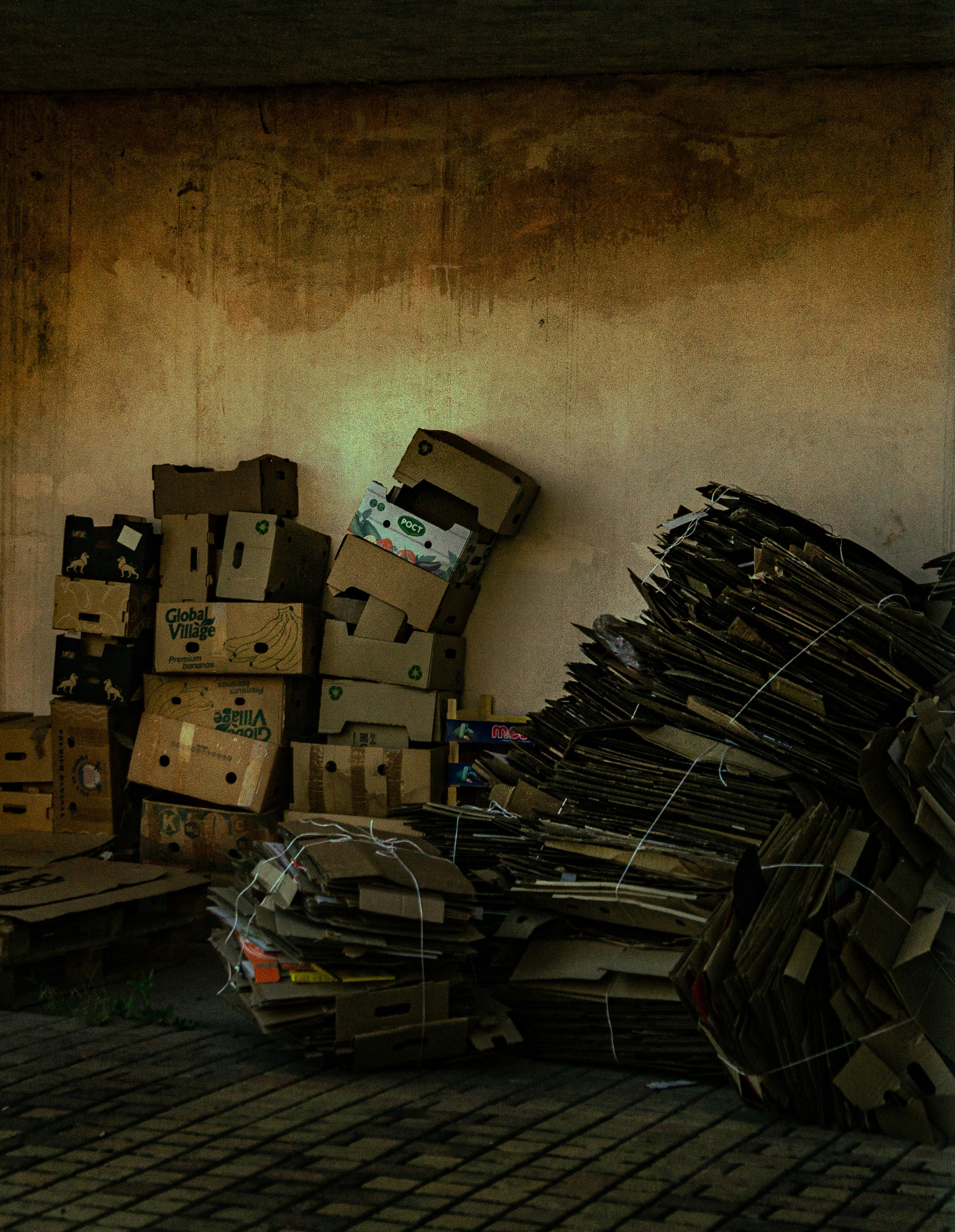 Cardboard Cascade by a Weathered Wall