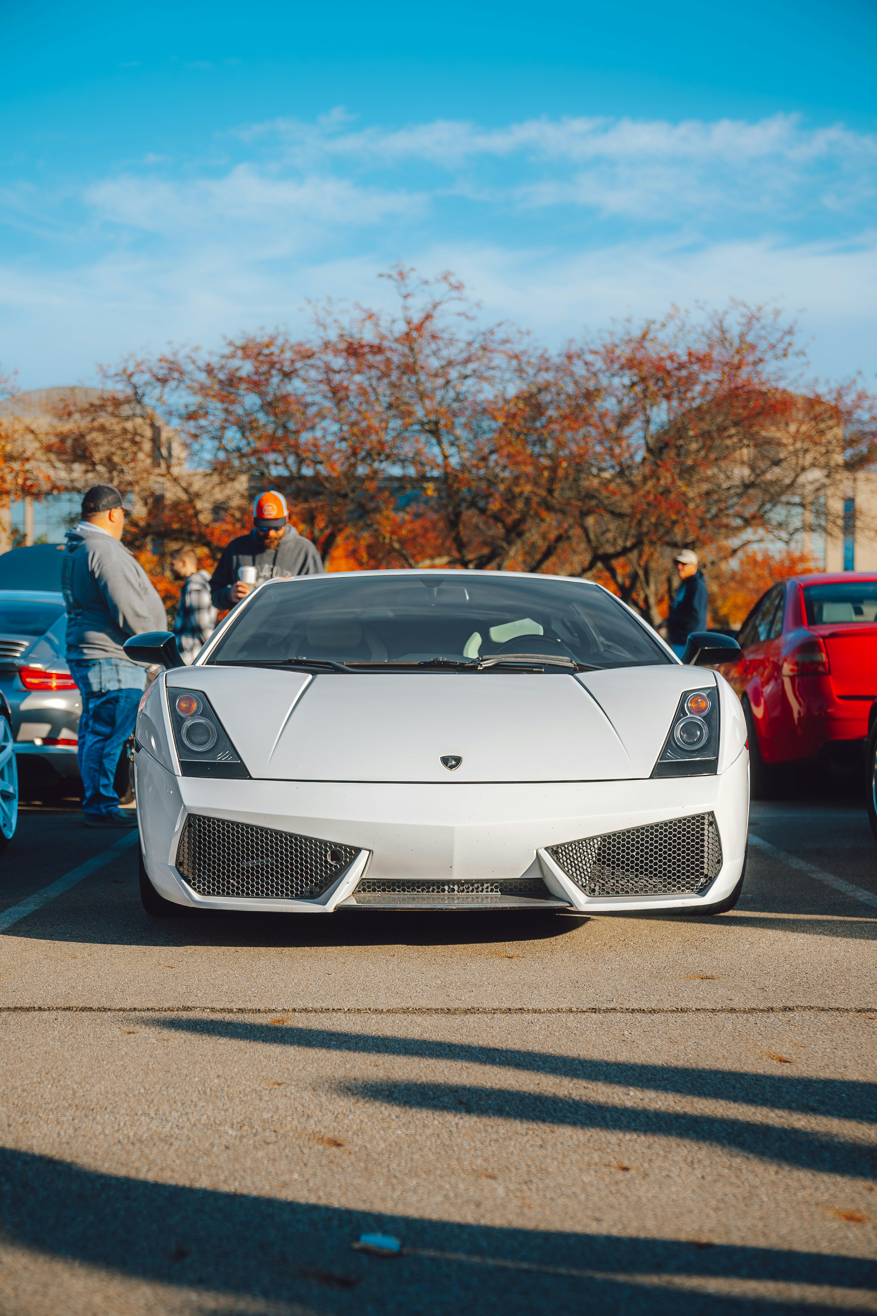 Elegance in Motion: The Silver Beast