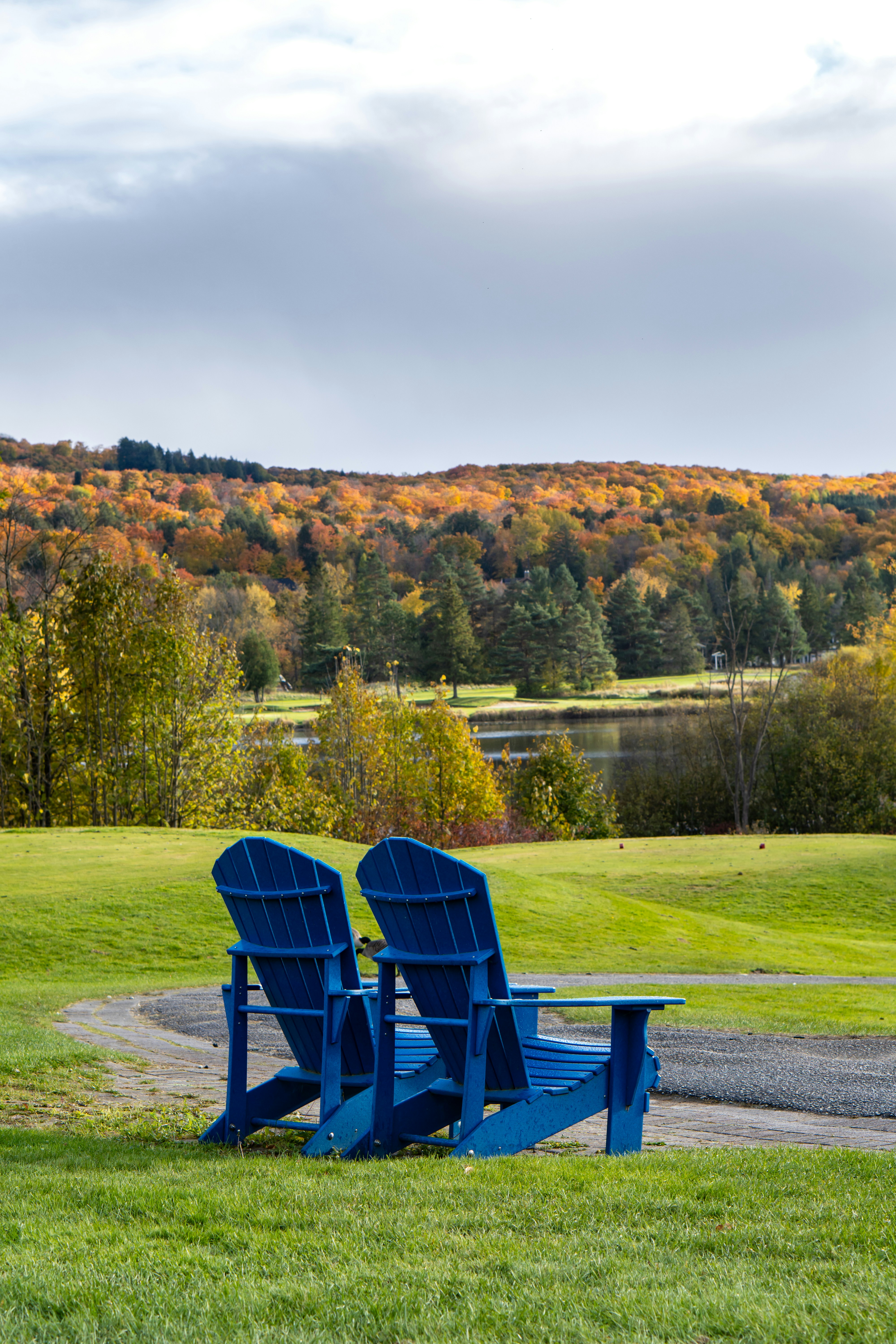 Blue Adirondack Chairs Framing an Autumn Lake Vista