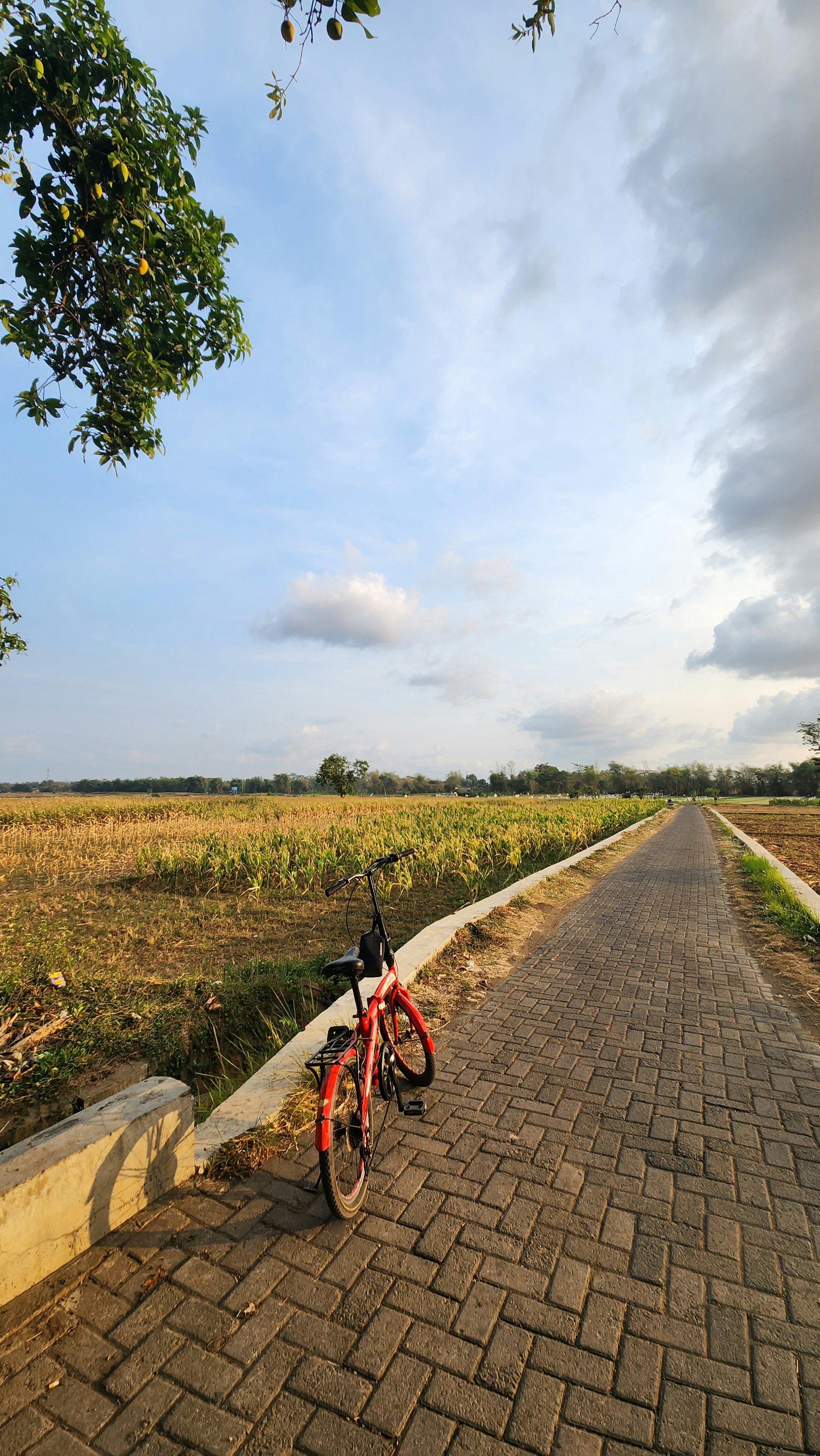 Journey Through Verdant Pathways