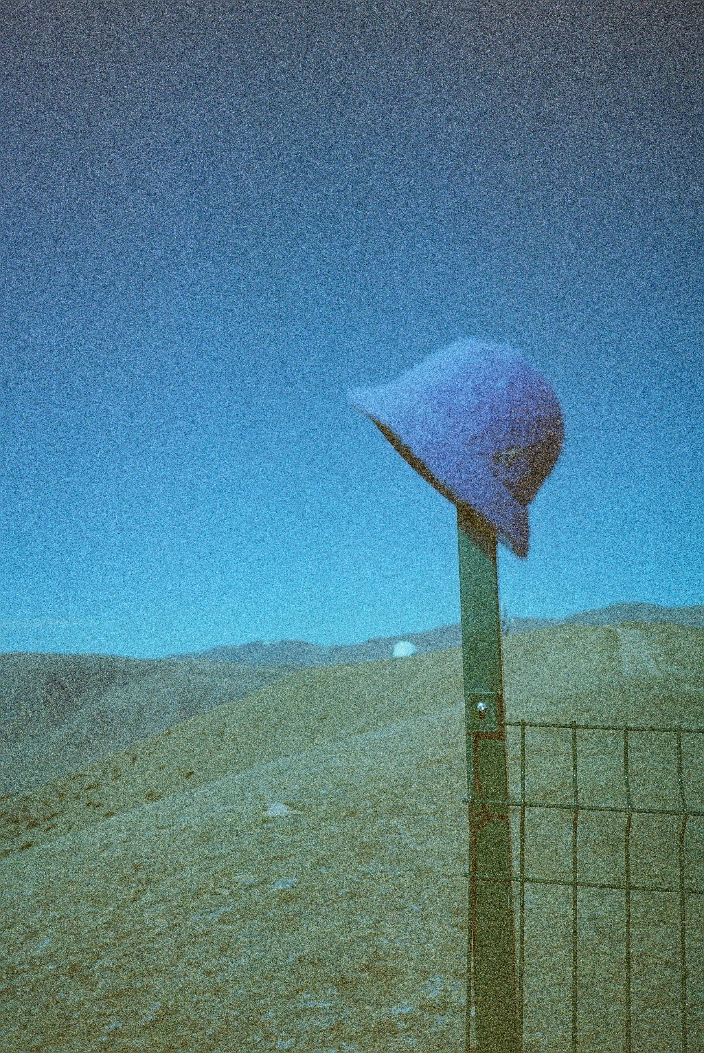 Velvet Violet on the Fence Post: A Quiet Desert Moment