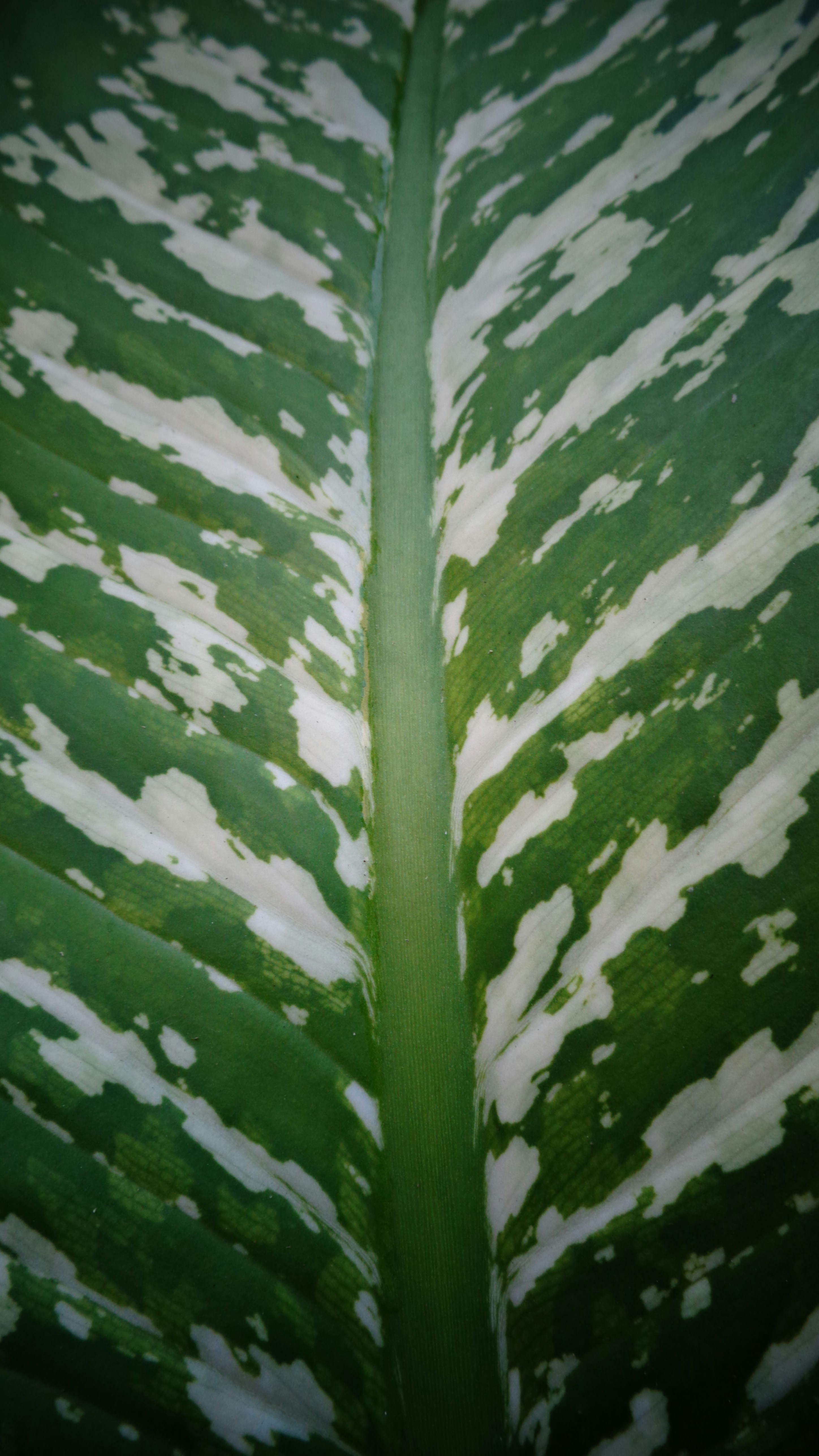 Photo by Pratiksha Sahu with Sony Cyber-shot W830