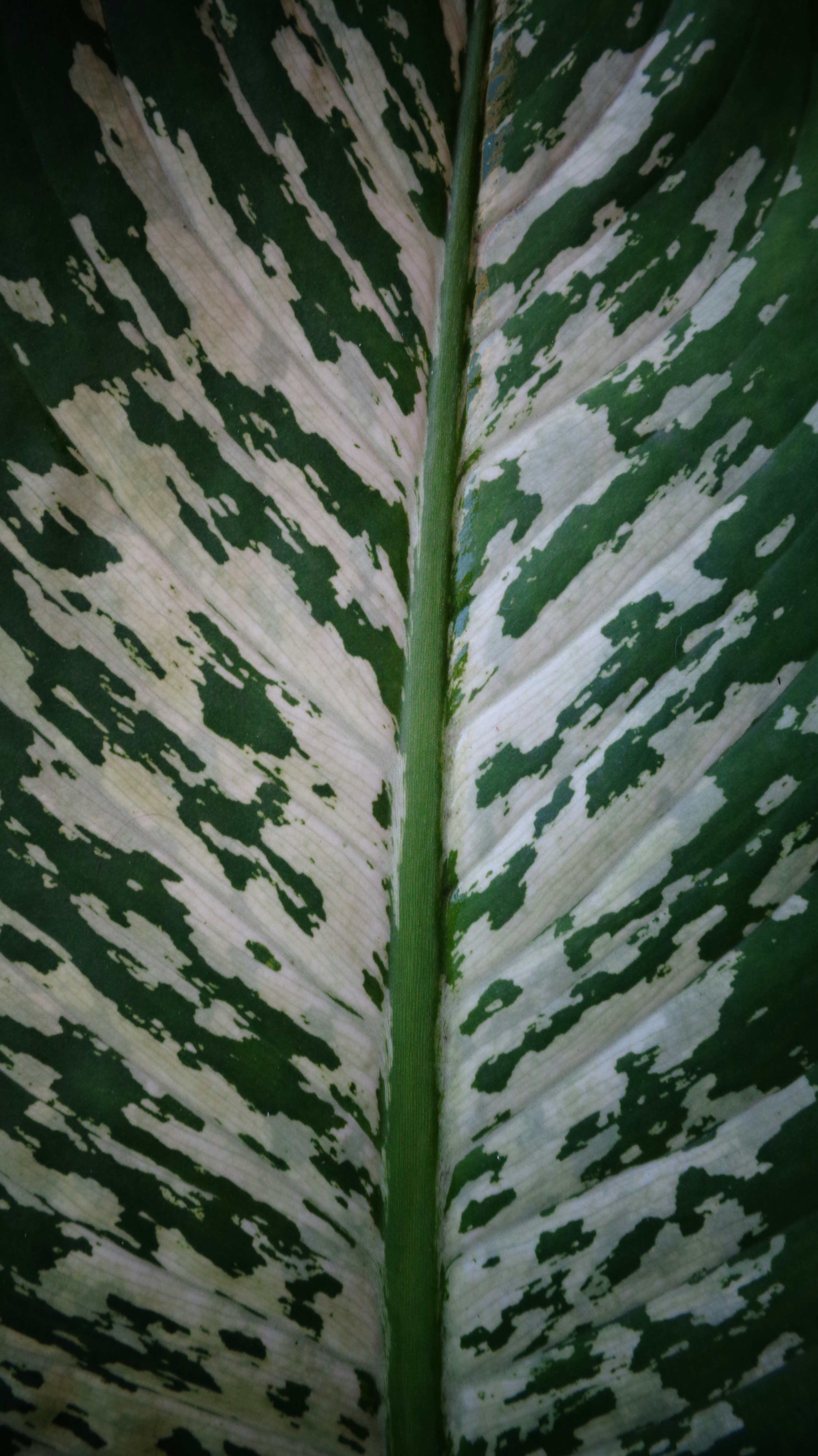 Photo by Pratiksha Sahu with Sony Cyber-shot W830