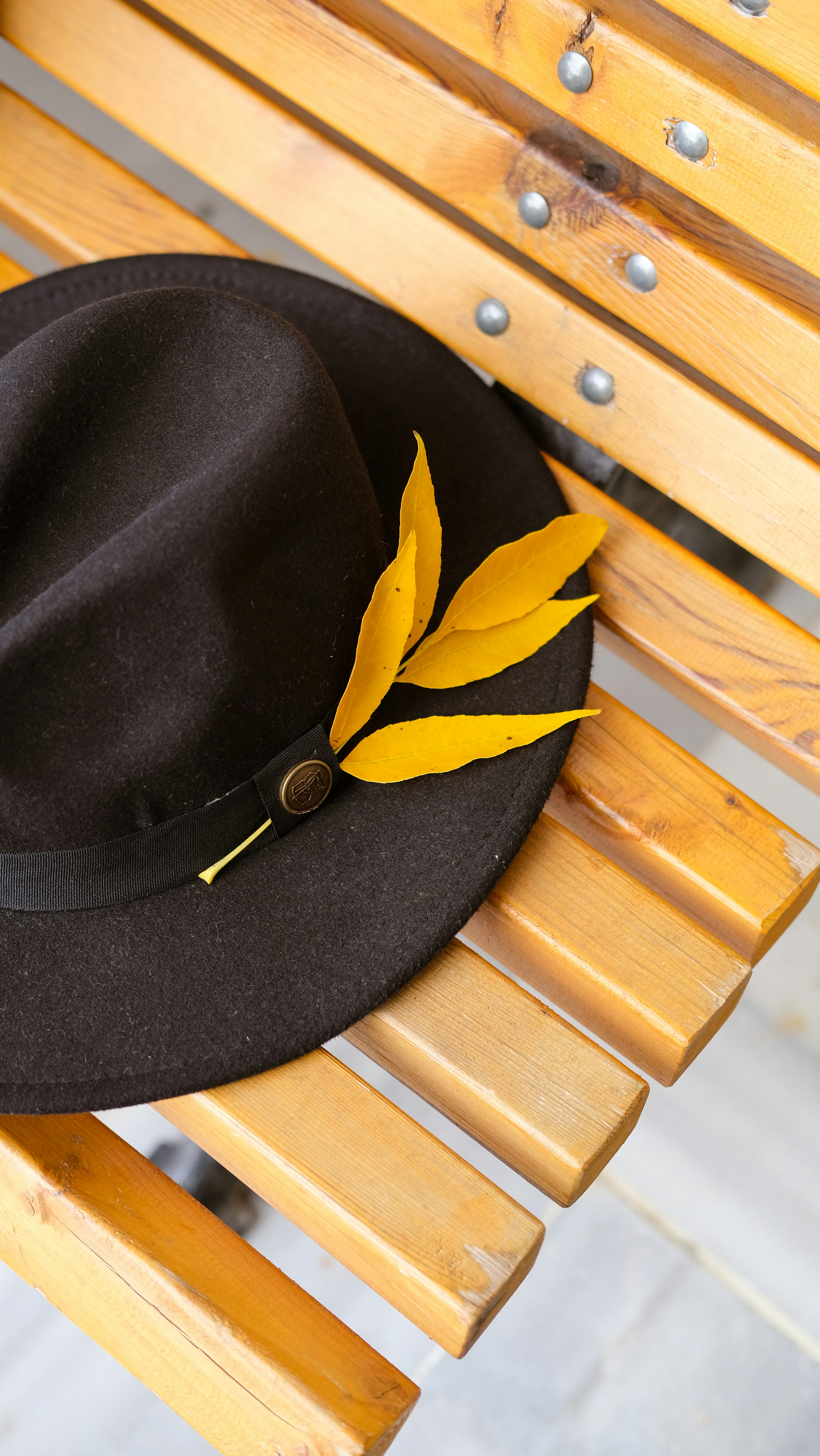 Autumn Quiet: Yellow Leaves Crown a Fedora on a Sunlit Bench