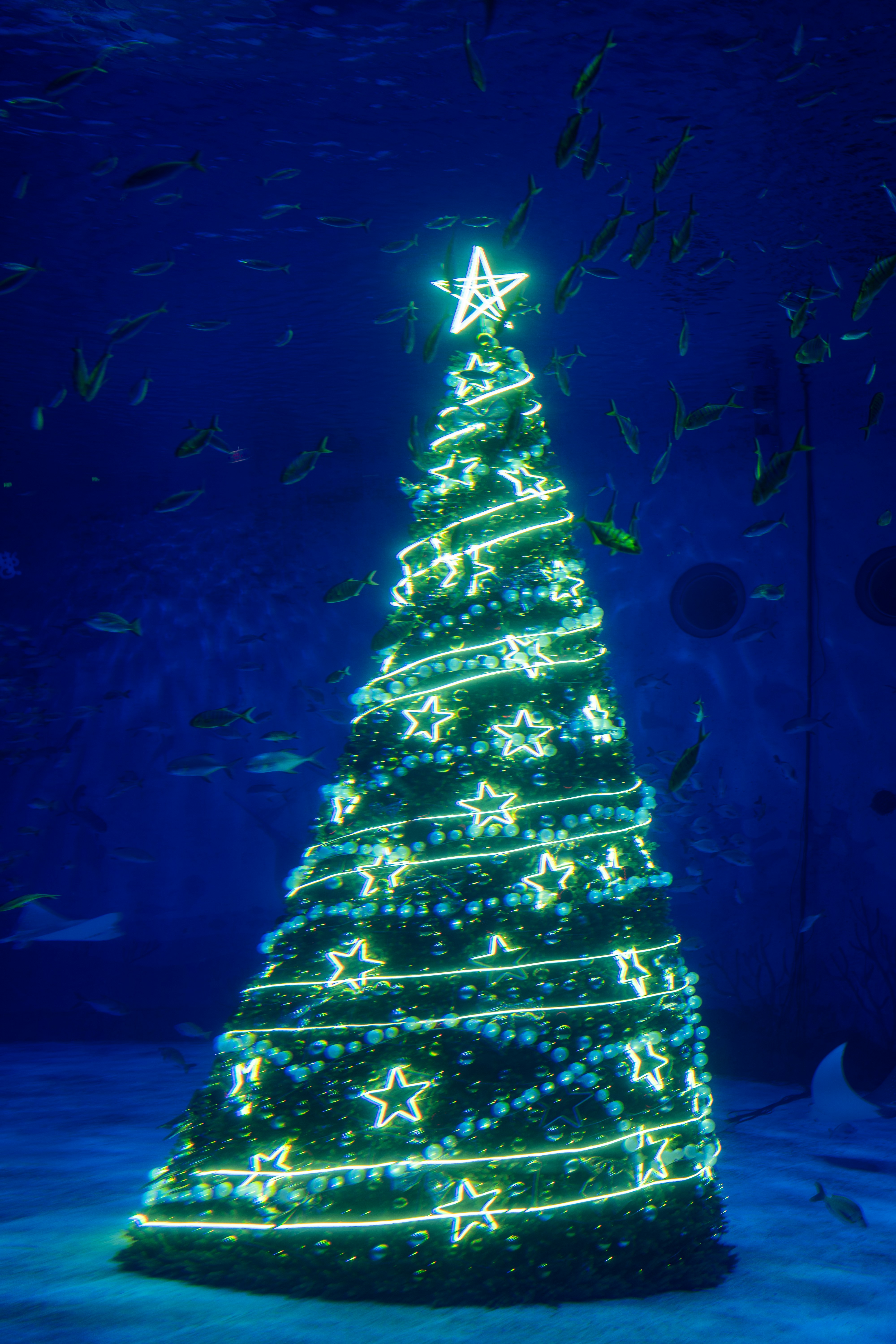 Neon Star On a Coral Tree: Underwater Holiday Glow