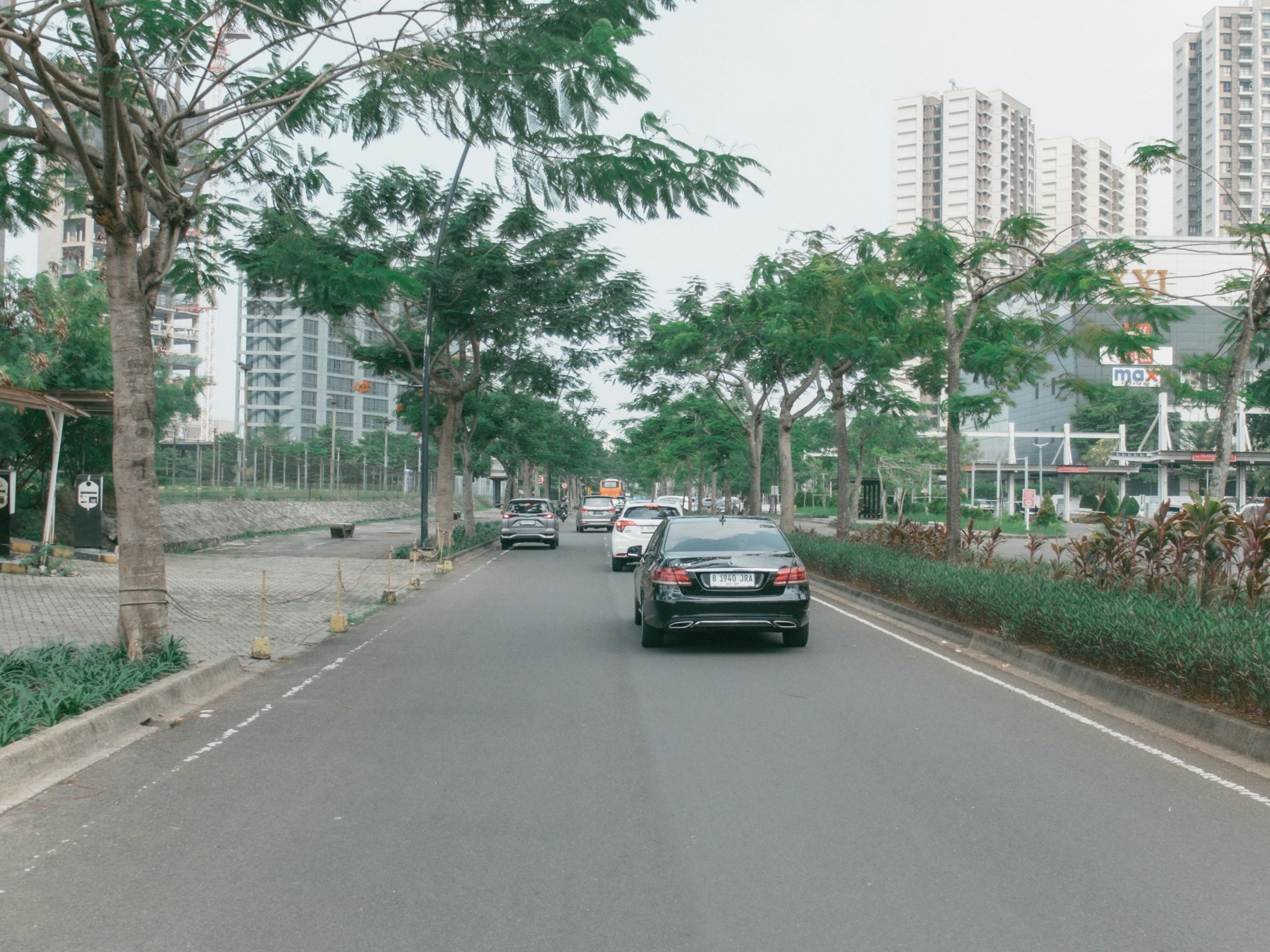 Cars driving on a tree-lined urban road with high-rise buildings in the background.