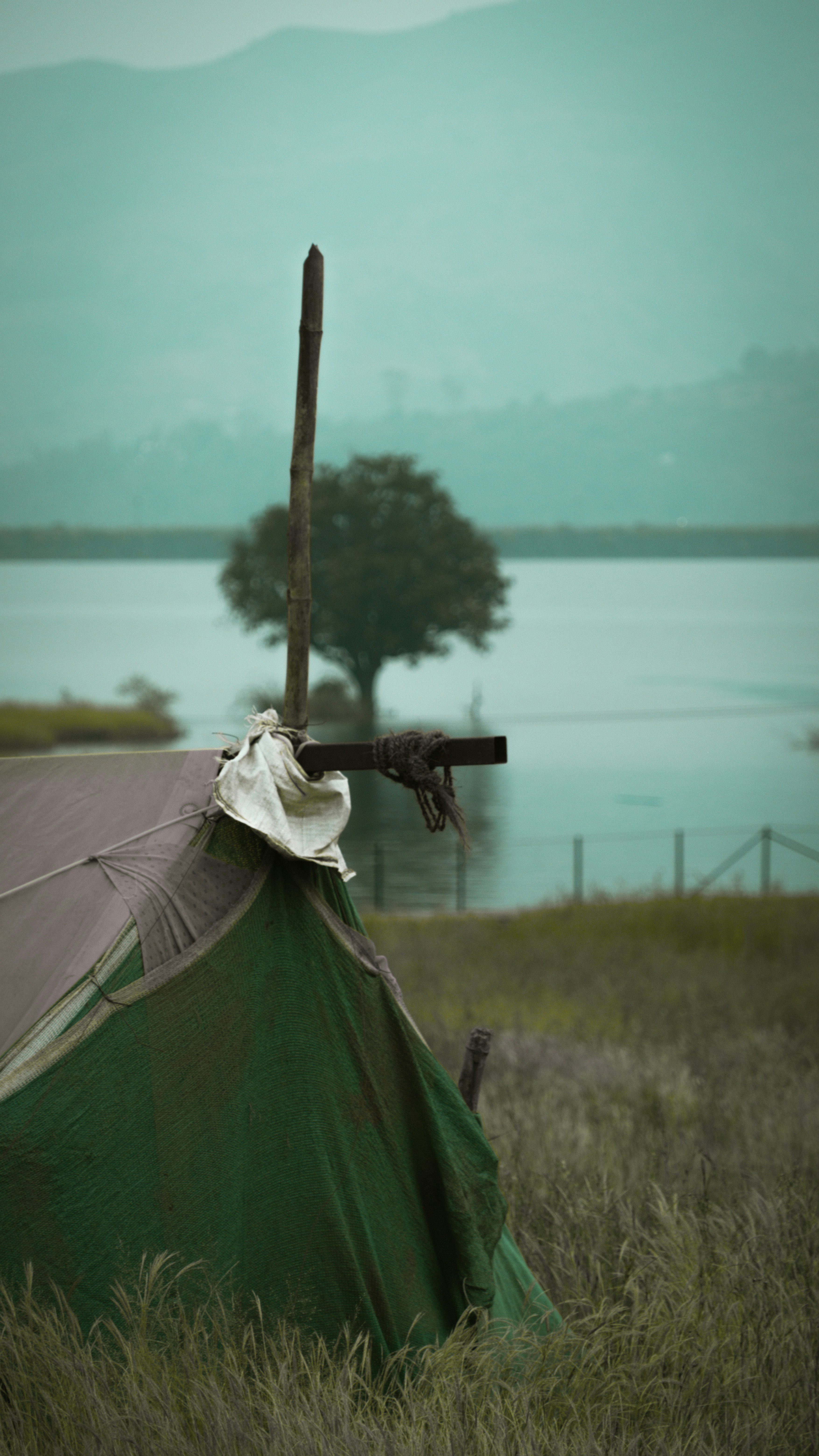 Photo by Ruhan Shete with Fujifilm X-T3