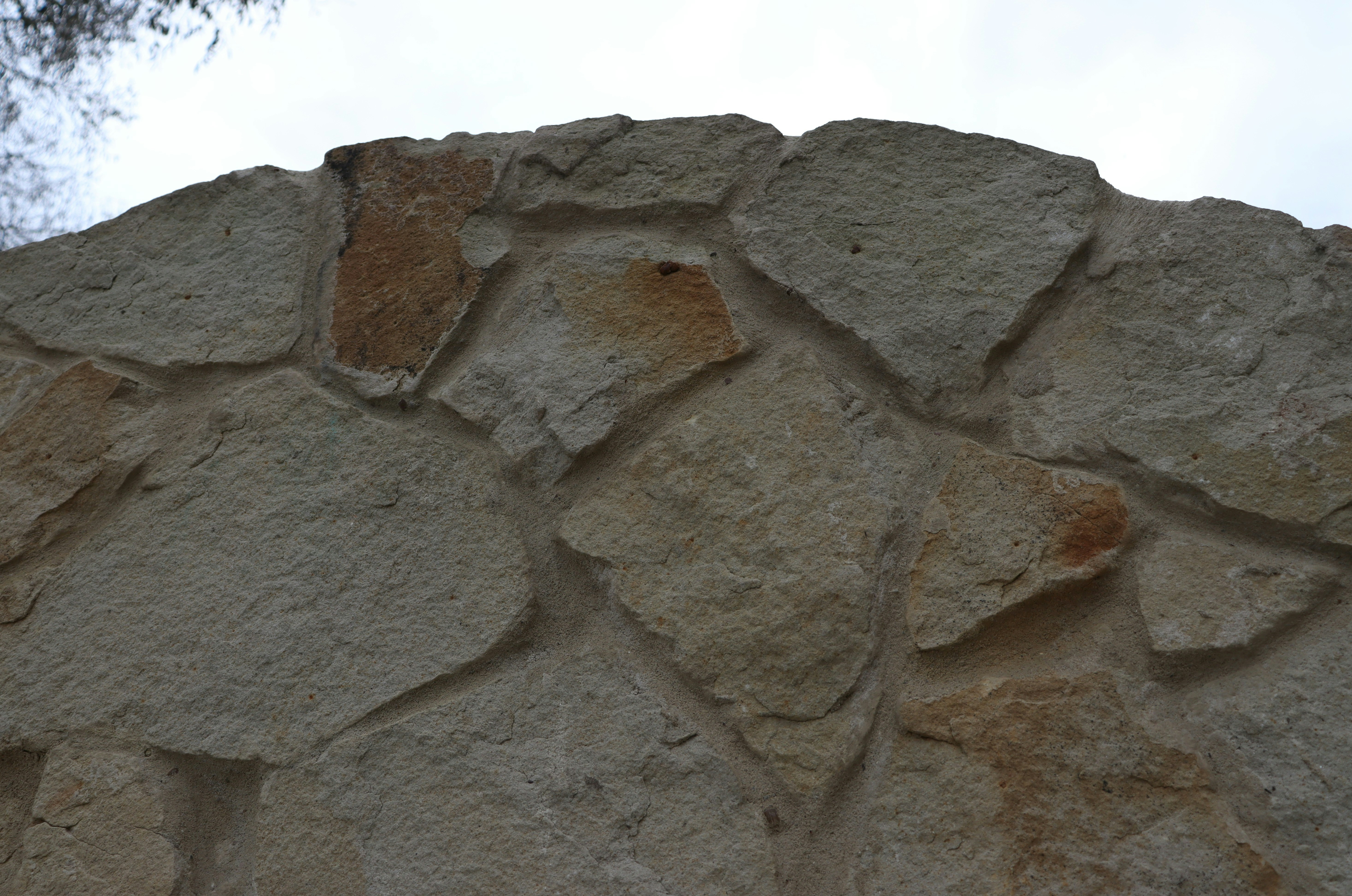 A close up of a stone wall with a tree in the background