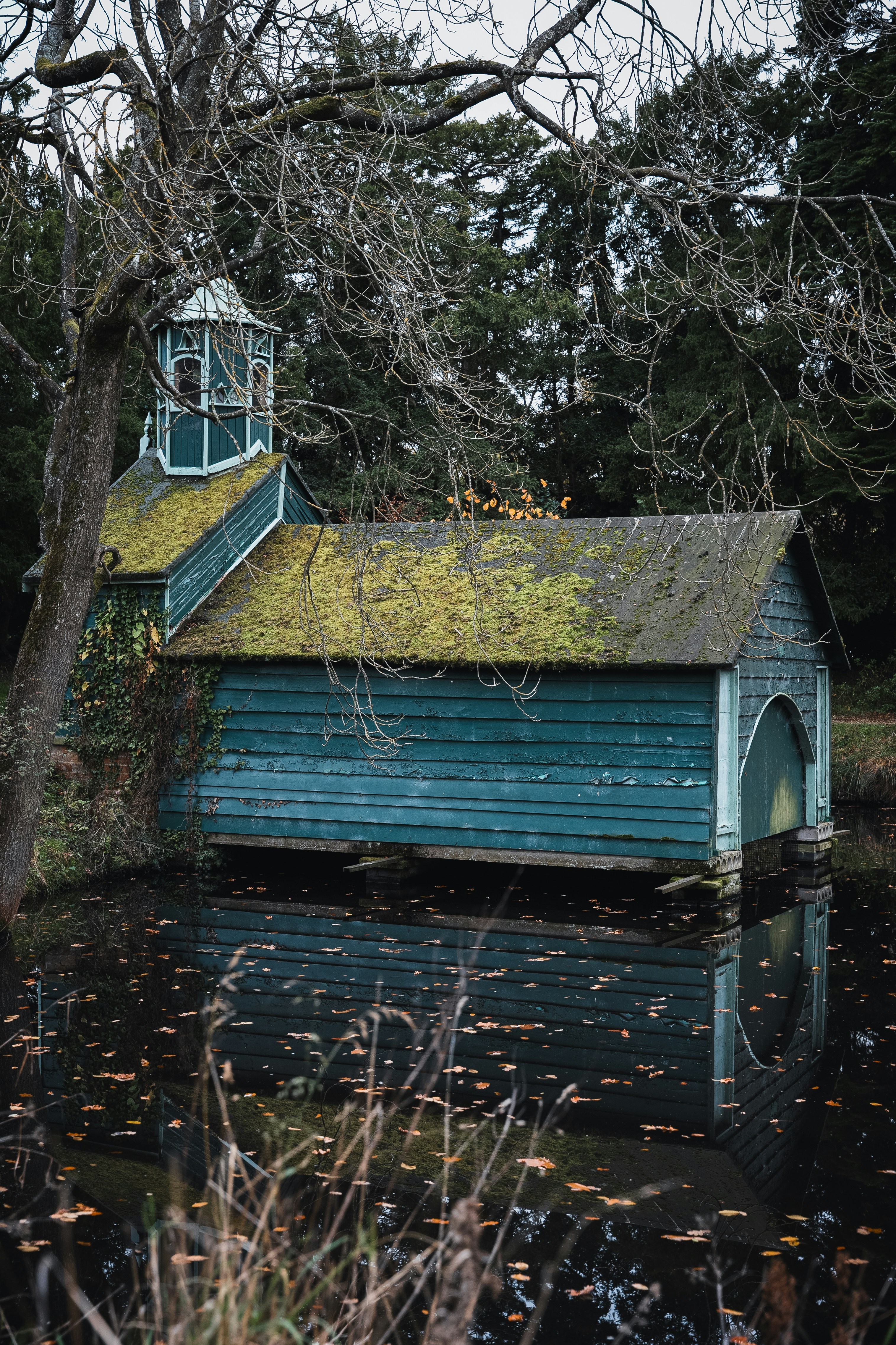 A small blue building sitting in the middle of a forest photo – Free ...
