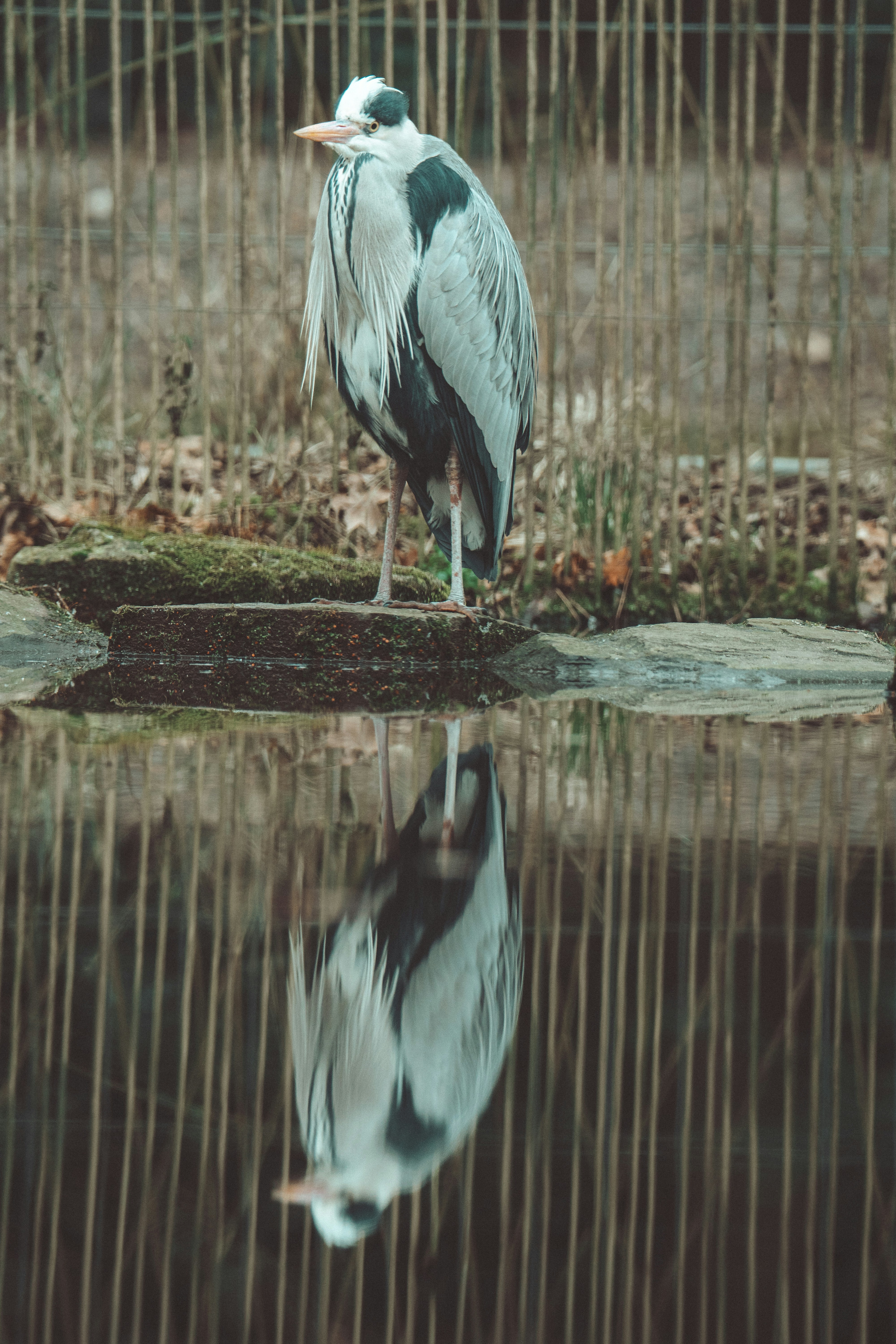 Photo by Omar Ramadan with Sony Alpha 7 III