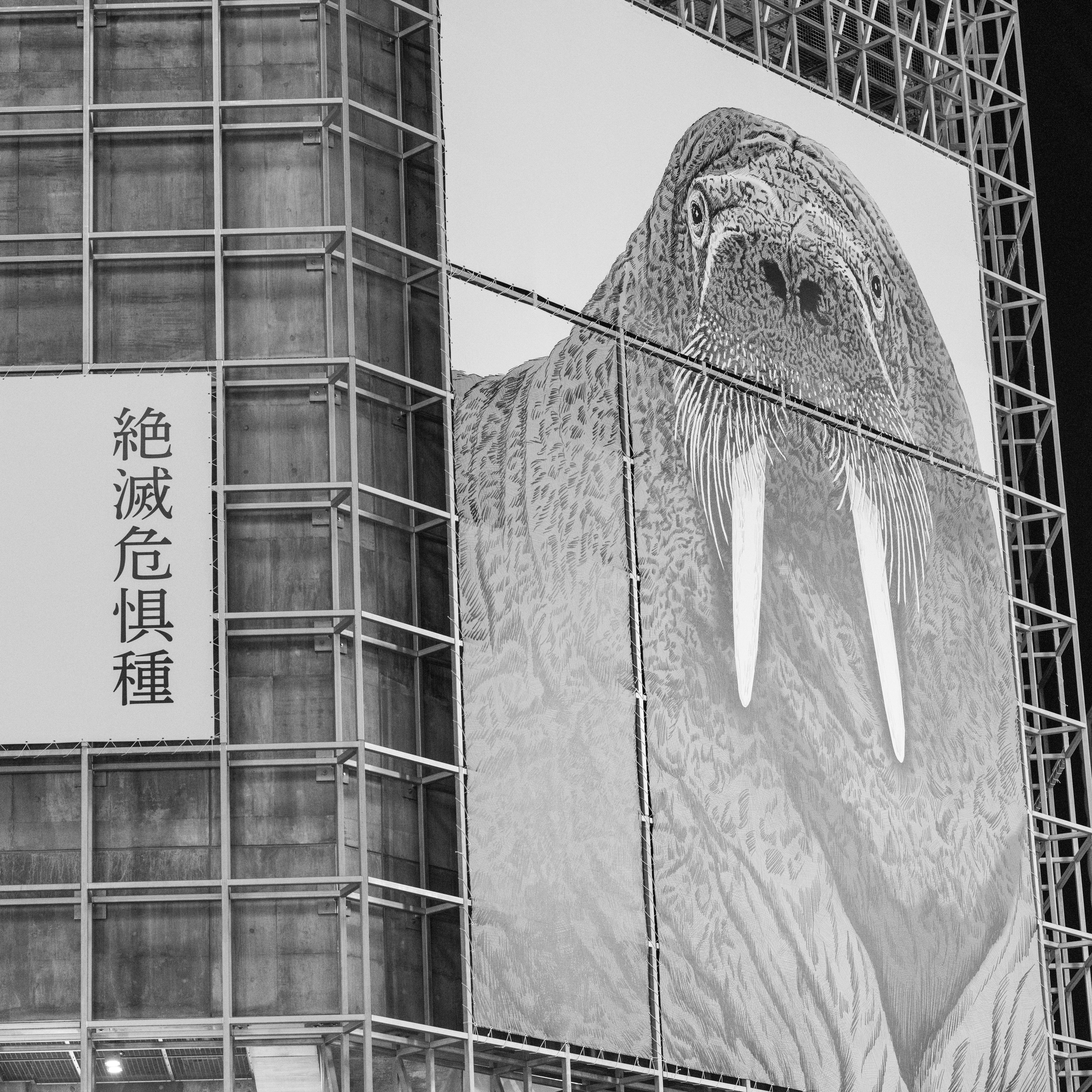 A large poster of a walong on a building photo – Free Art Image on Unsplash