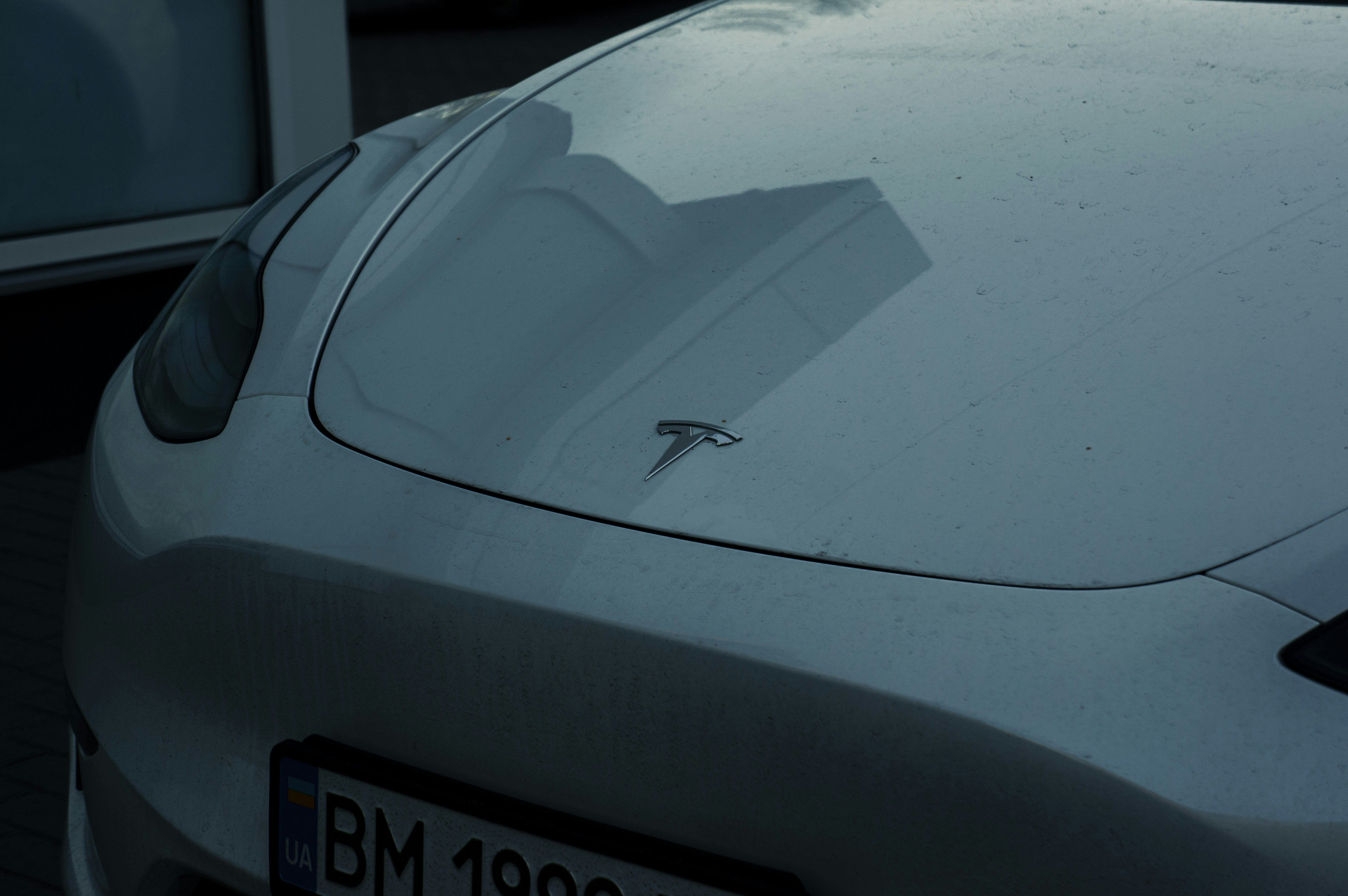 Tesla Emblem Under Rain-Dusted Blue on a Quiet Hood