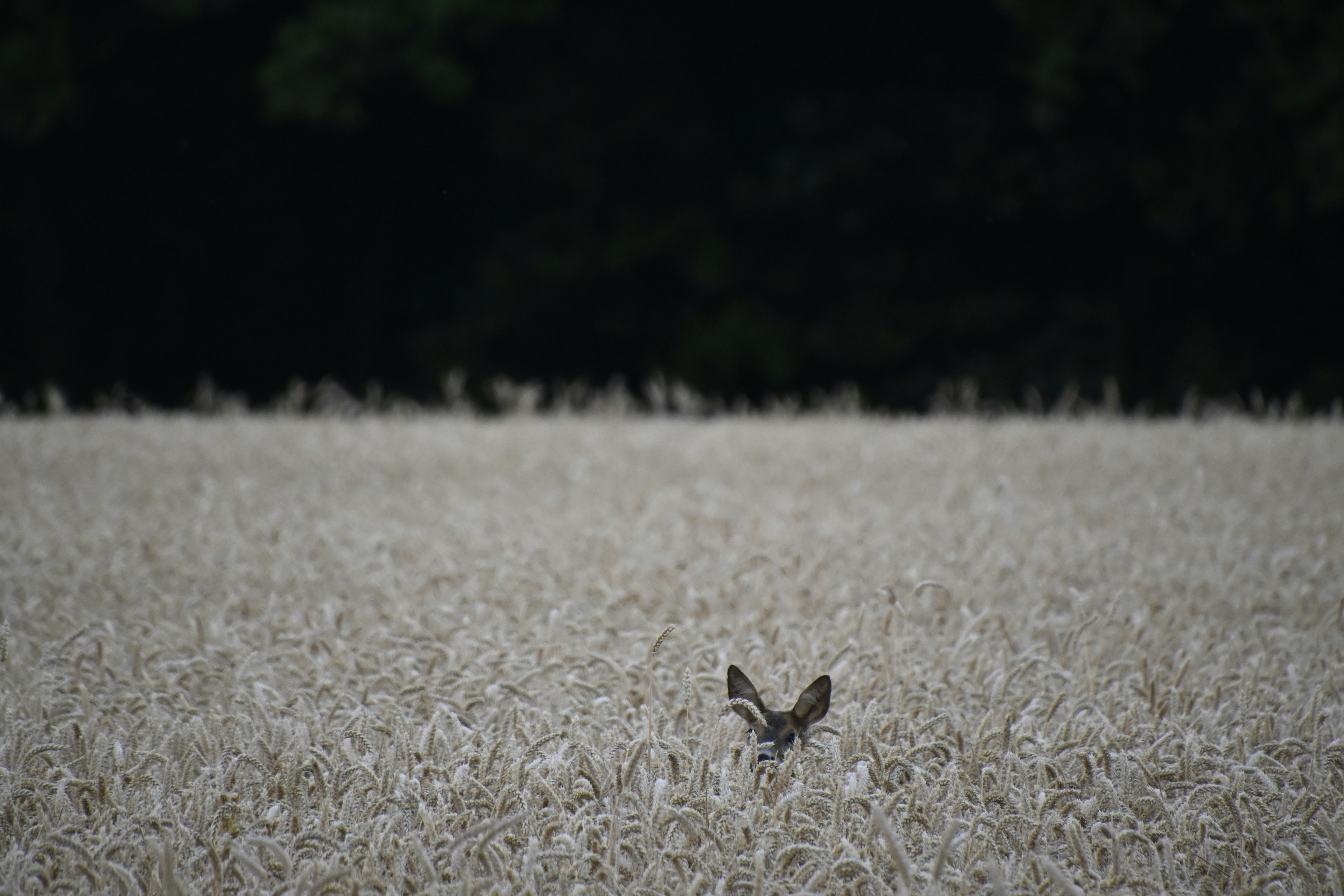 Wouter van der Velde (@wouter_van_der_velde) | Komunitas Foto Unsplash