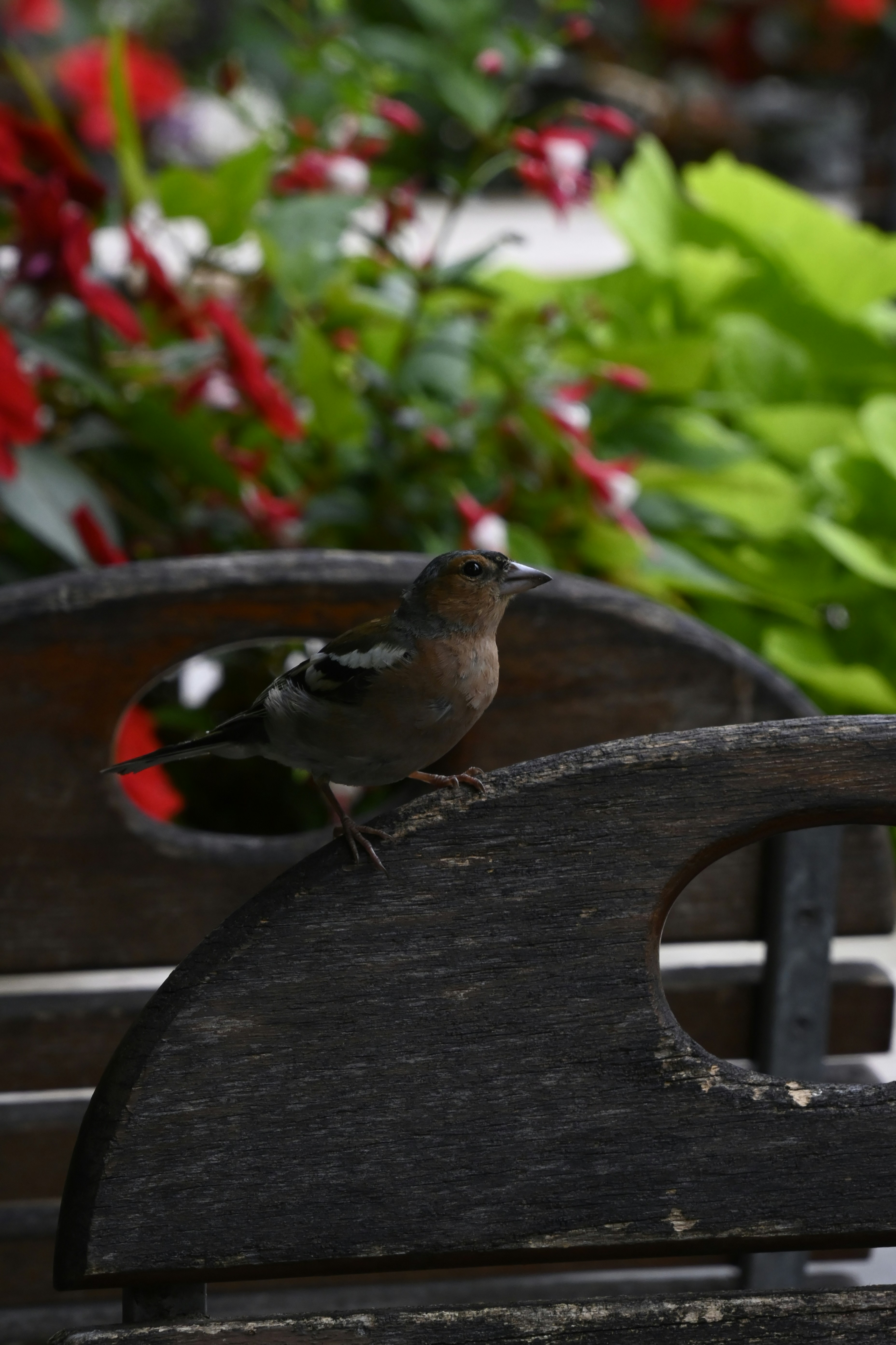 Wouter van der Velde (@wouter_van_der_velde) | Communauté photos Unsplash