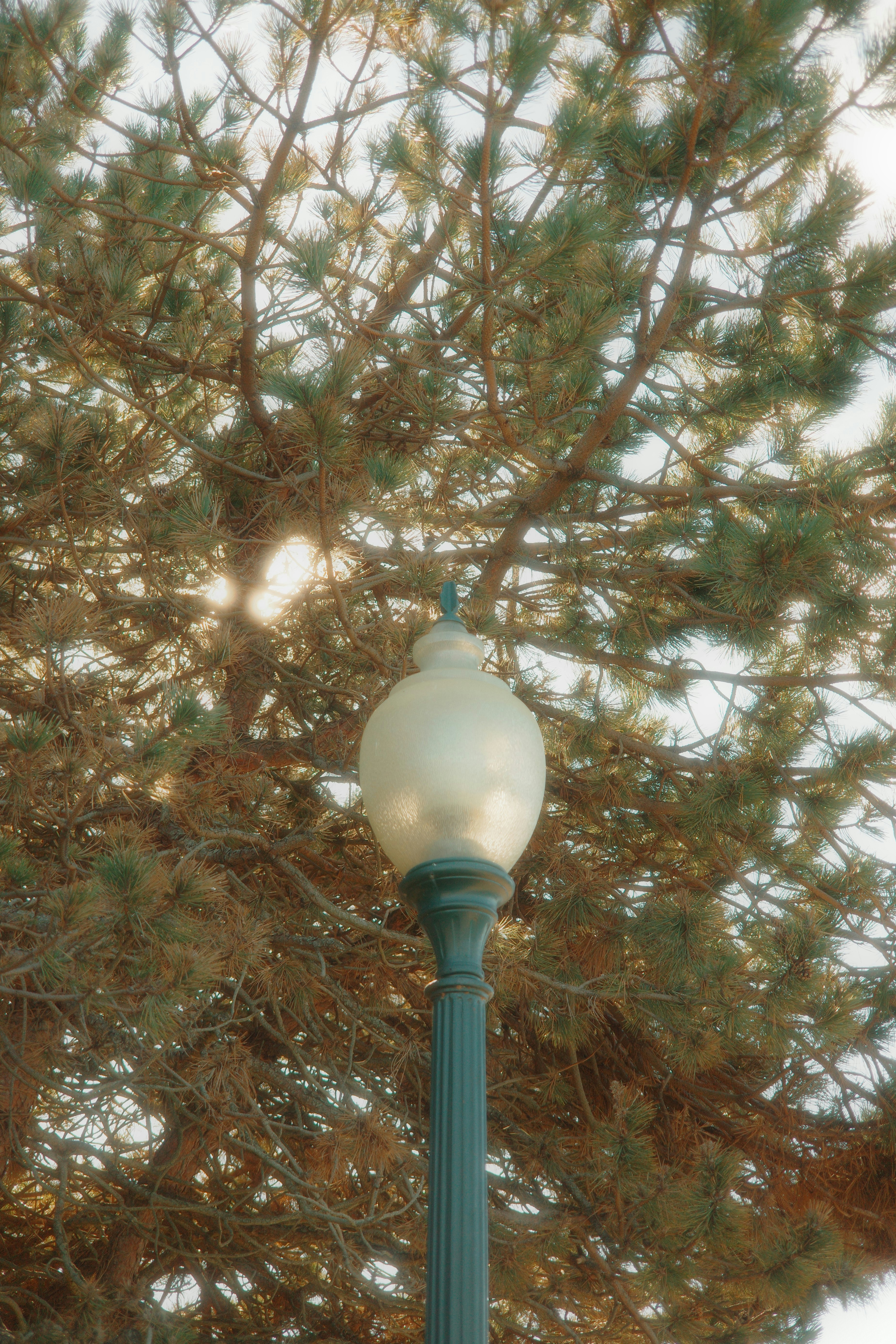 Sample photo from Ricoh GR IIIx