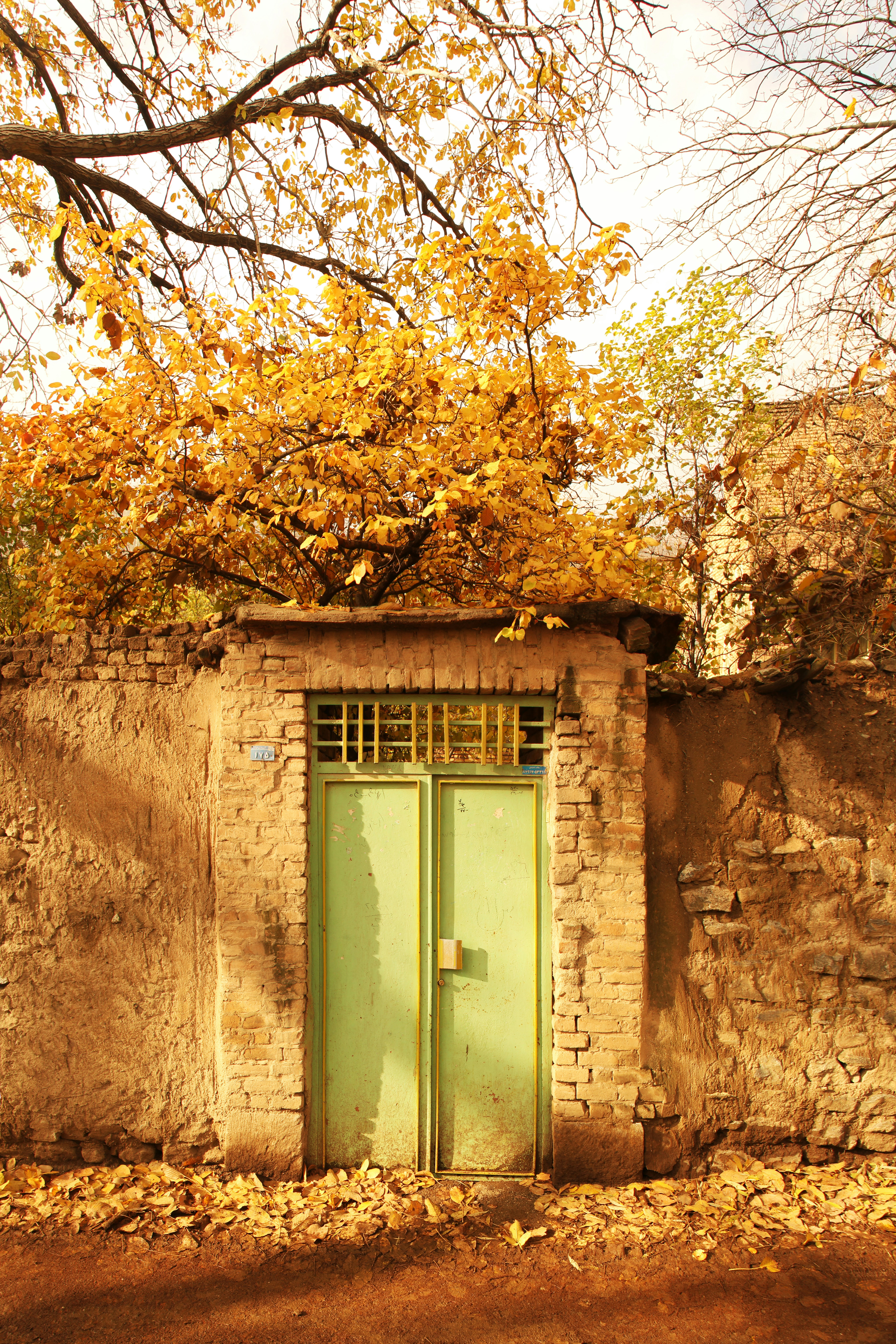 Green Door in a Golden Autumn Frame