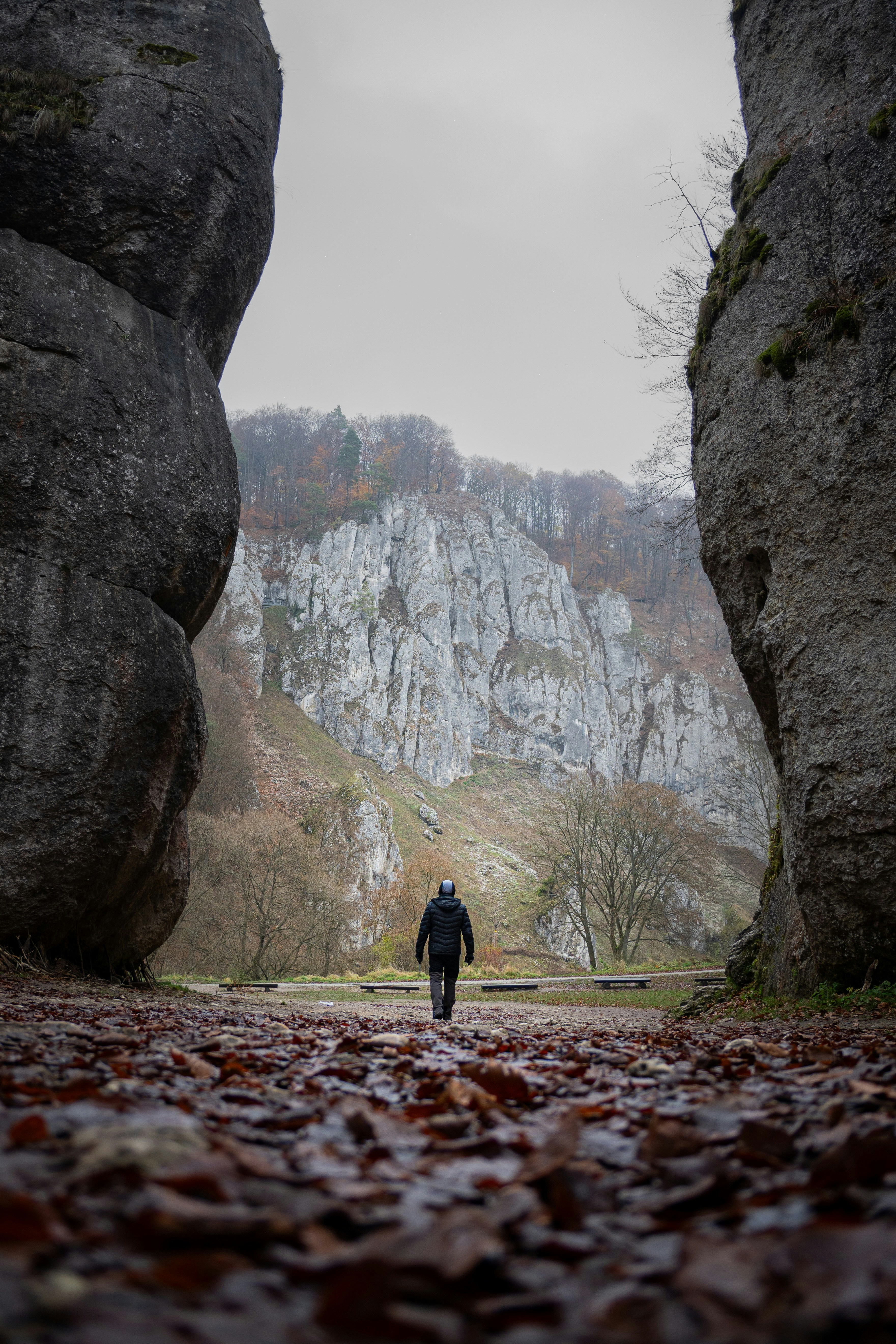 A lone hiker walking through fallen autumn leaves in Ojców National Park, Poland. Towering limestone cliffs create a natural frame around the path, making for a dramatic autumn scene.