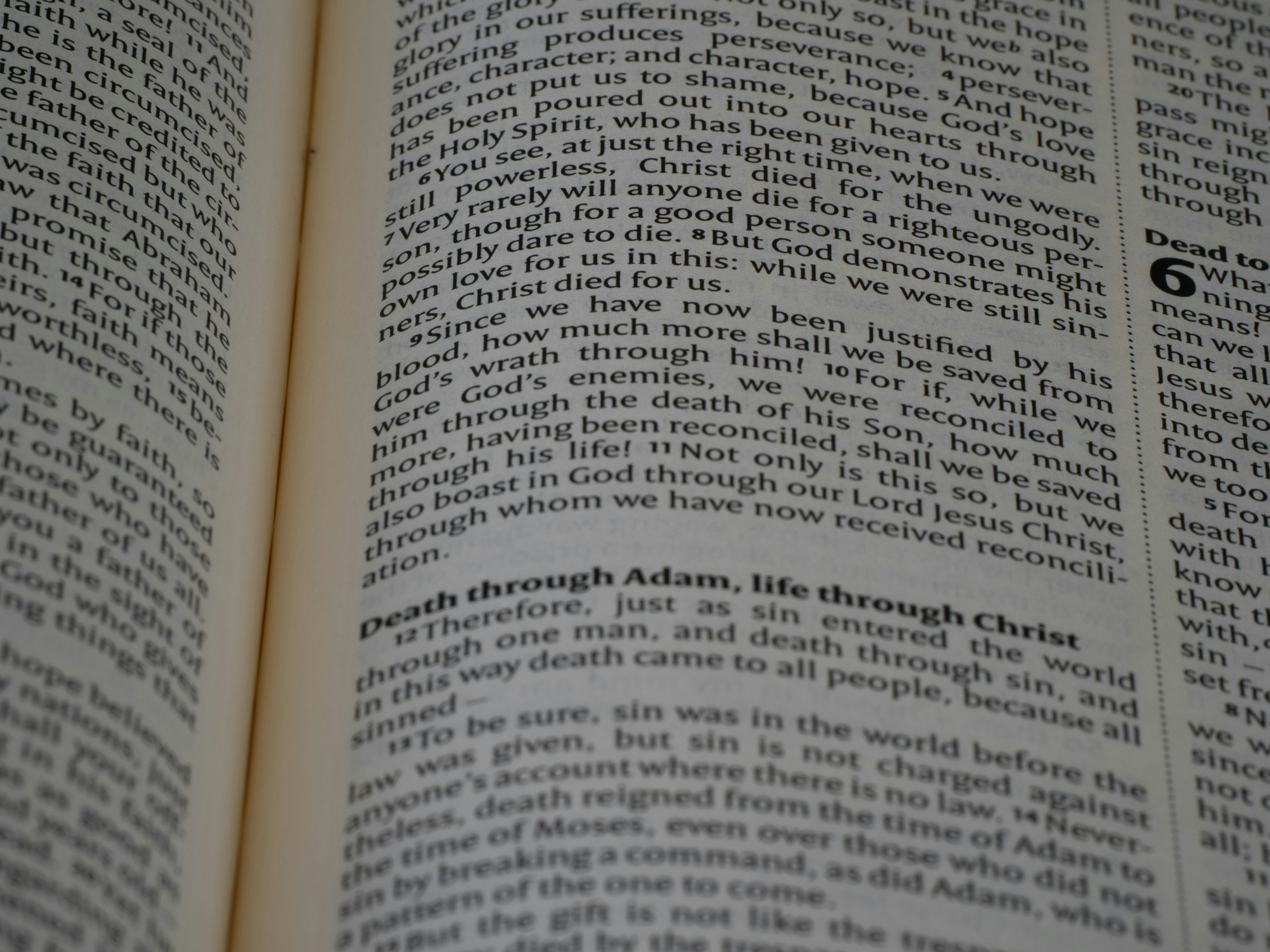 A close up of an open book on a table photo – Free Reading Image on ...