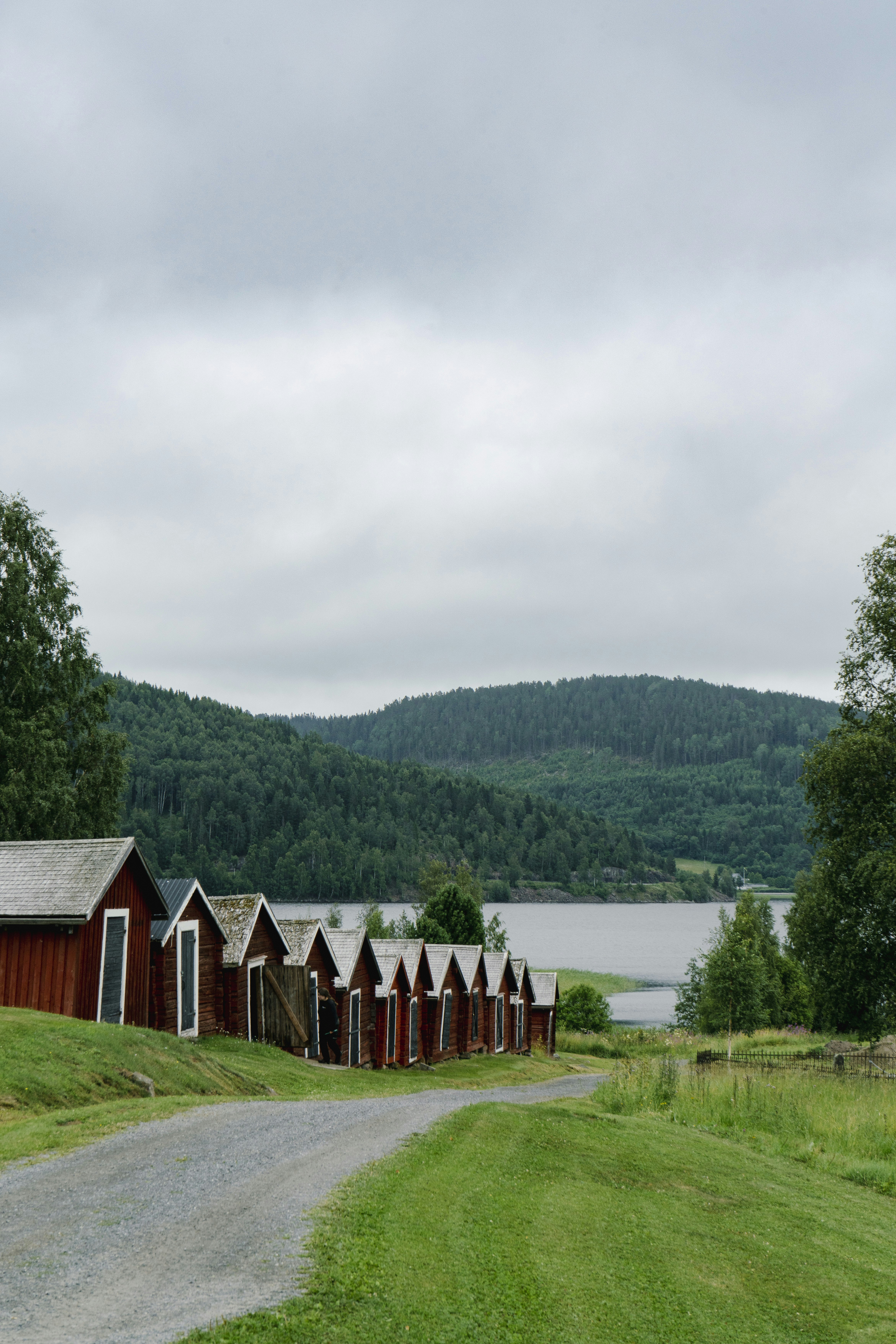 A row of red barns sitting on top of a lush green field photo – Free ...