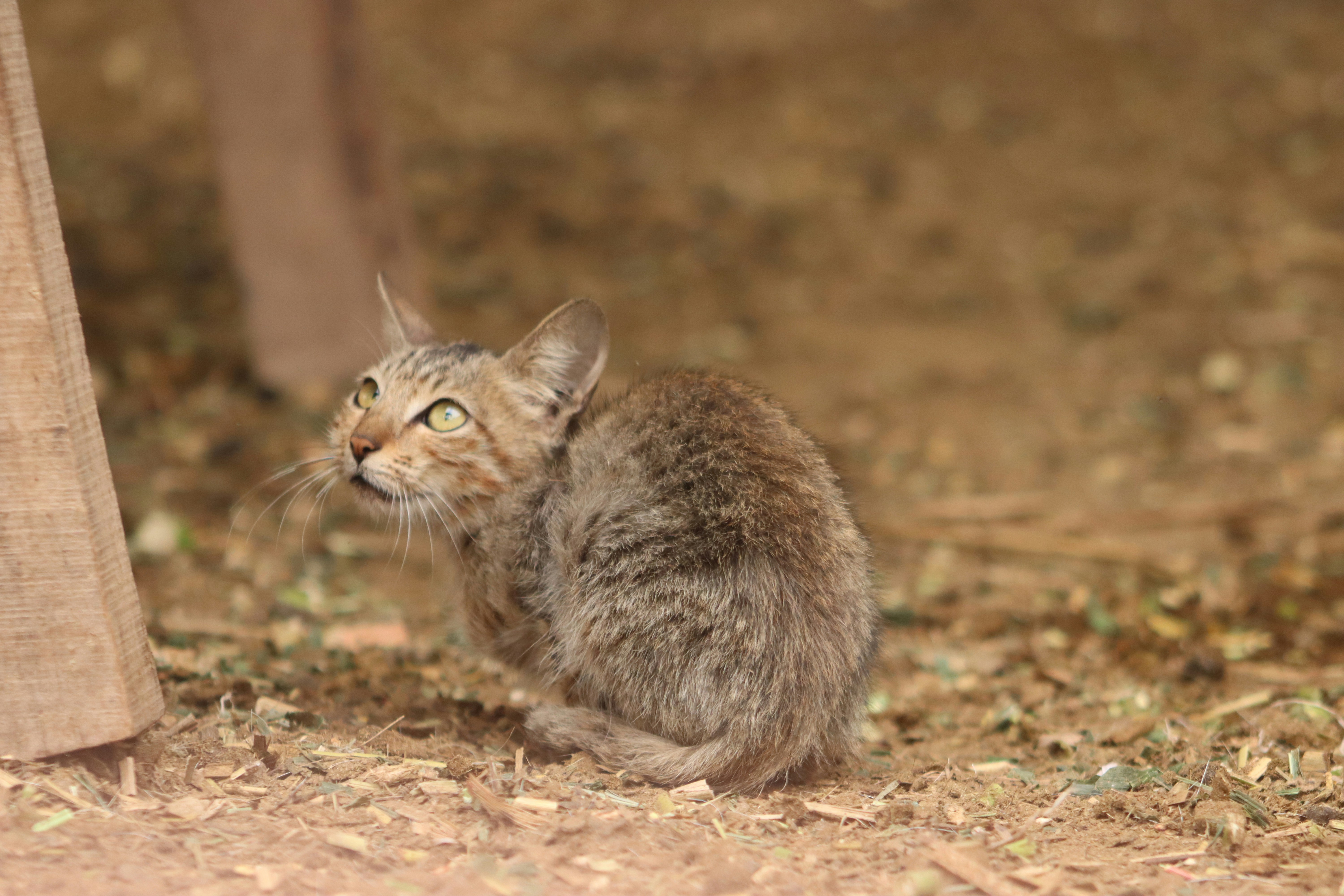 Photo by Anees Ur Rehman with Canon EOS 250D