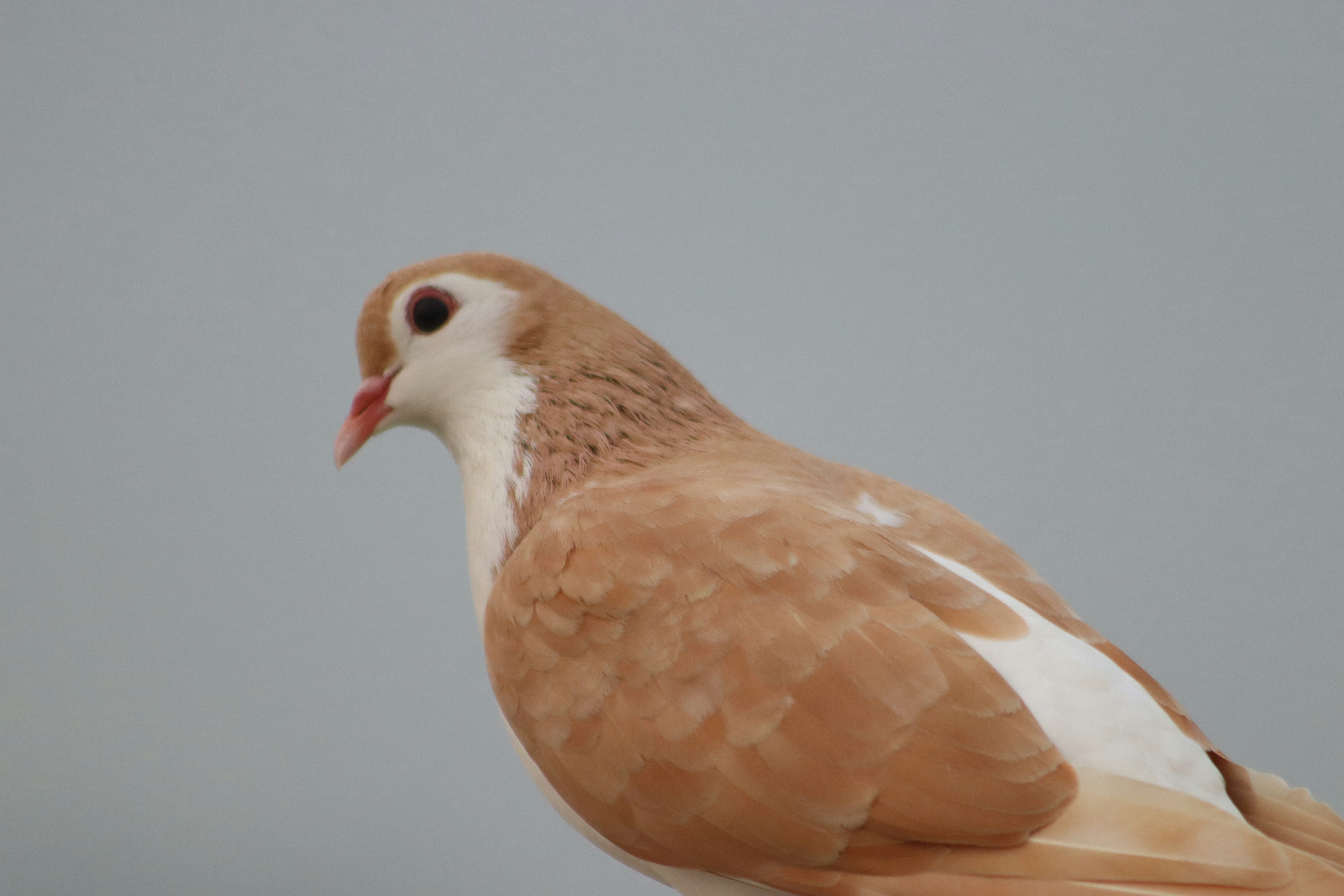 Photo by Anees Ur Rehman with Canon EOS 250D