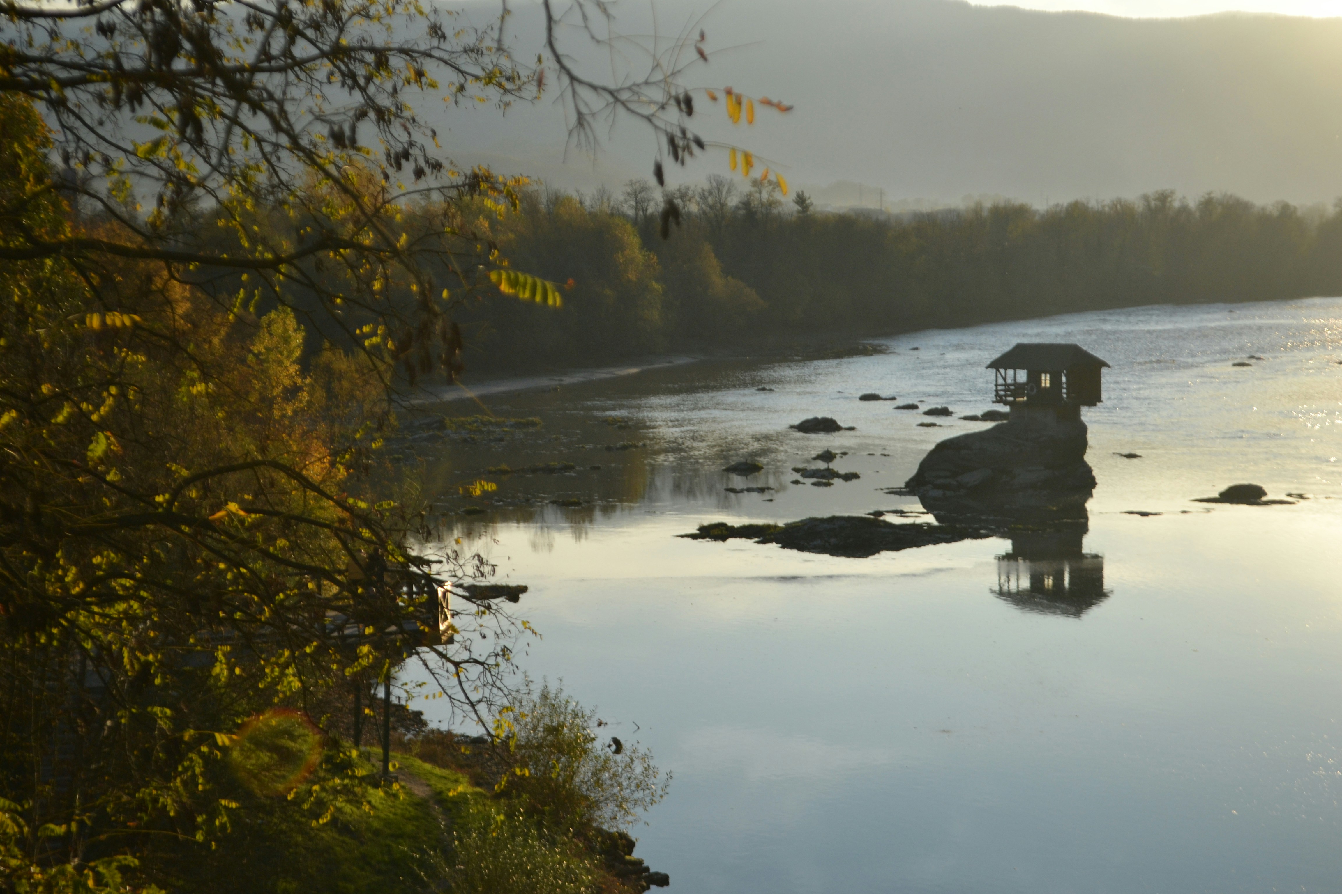 Sunlit Vantage: A Quiet Treetop View Over the River with a Walkable Keep