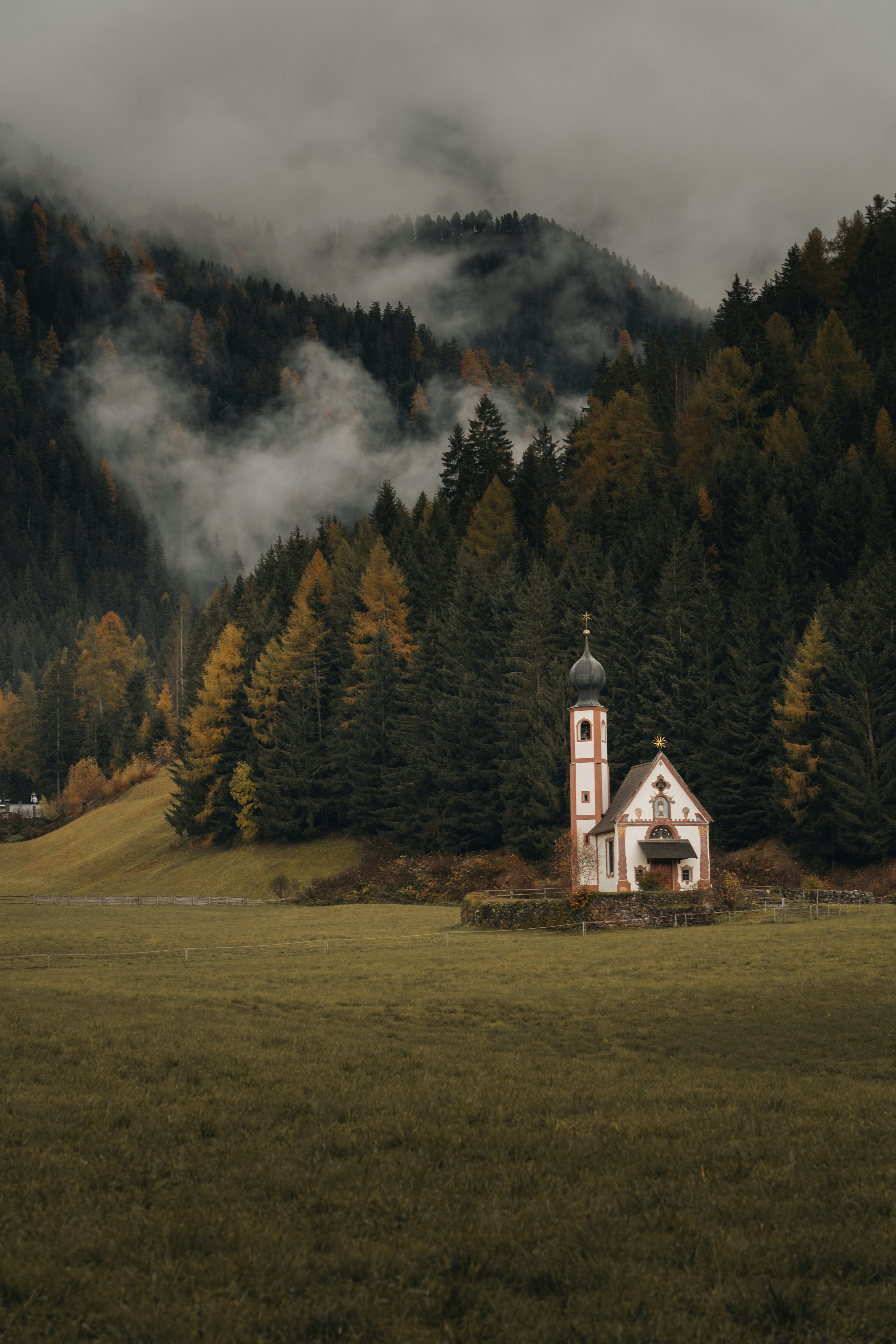 Photo by Andrei R. Popescu with Sony Alpha 7 III