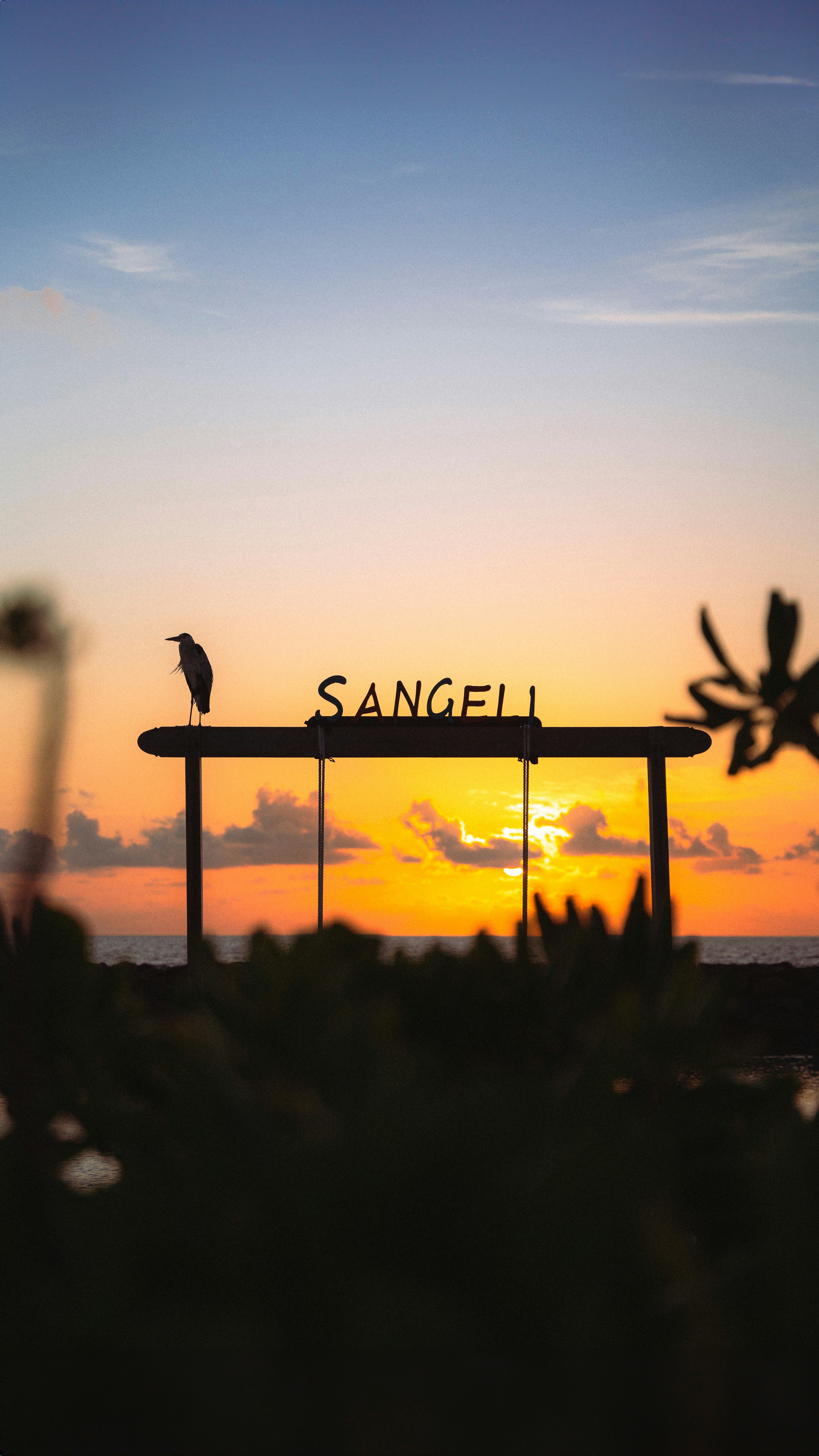 Sangel Signpost at Sunset: A Lone Seabird Over the Quiet Shore