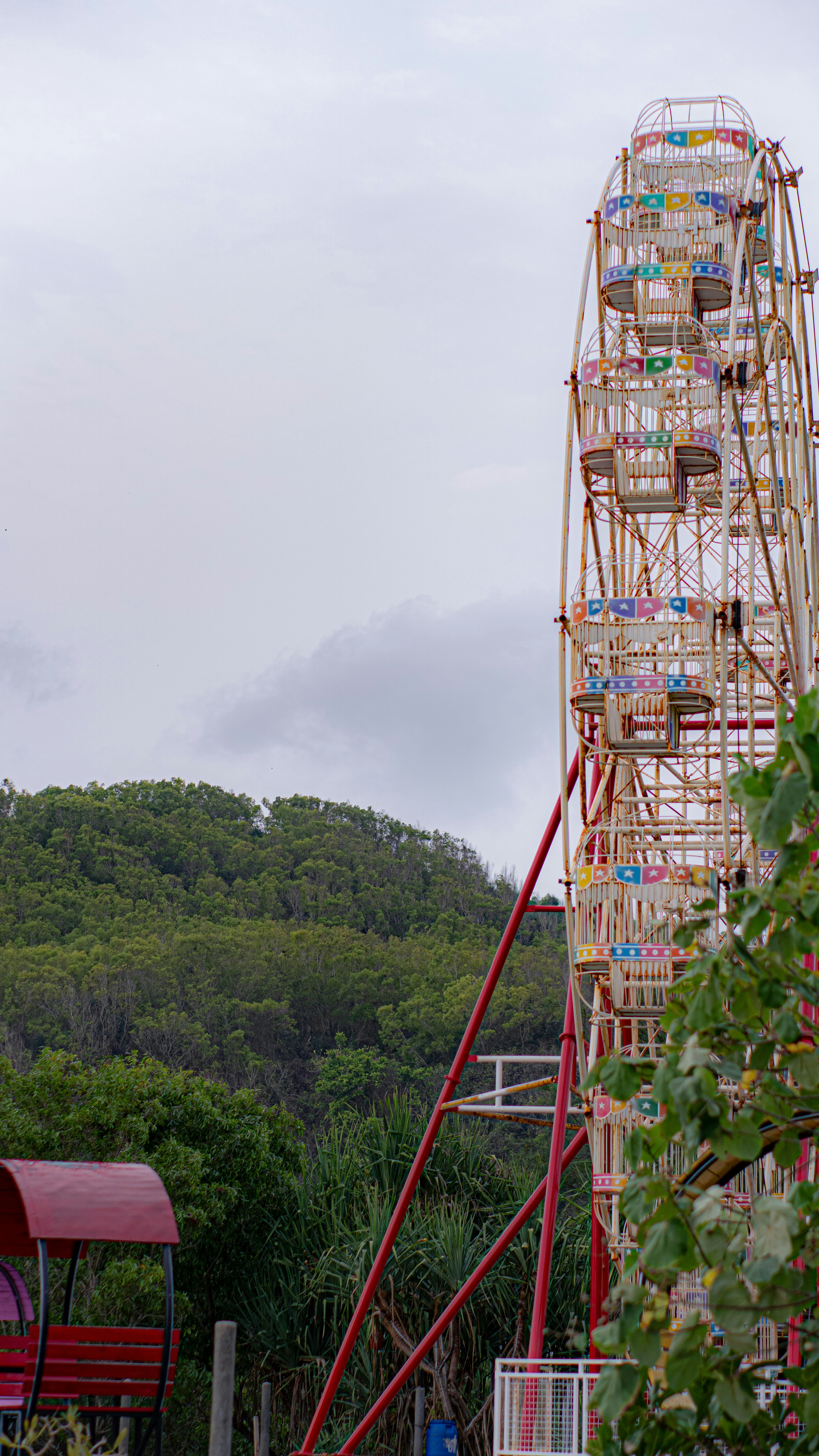 Vertical Carousel: A Colorful Ferris Wheel Framing a Quiet Park