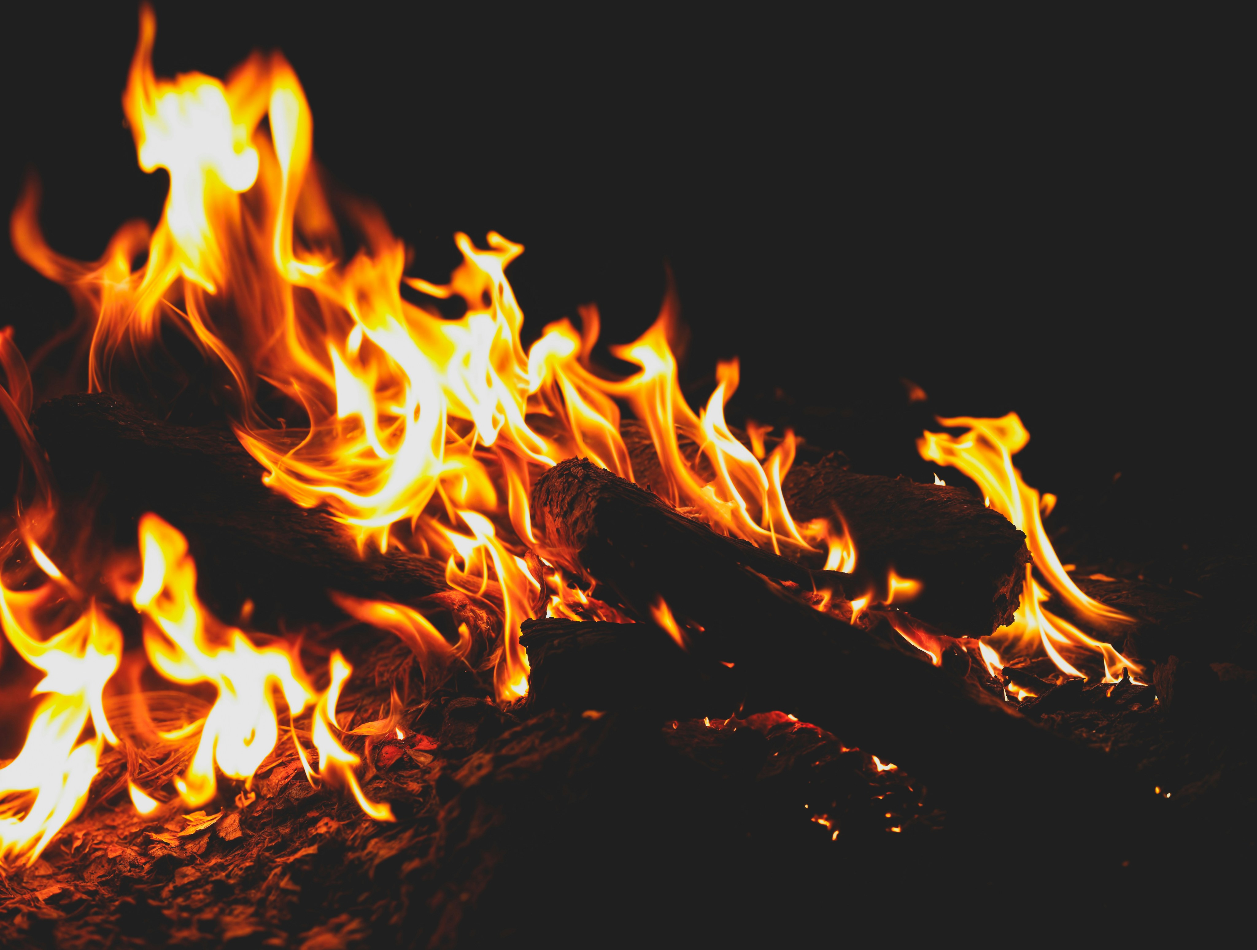 A close up of a fire in the dark photo – Free Black Image on Unsplash